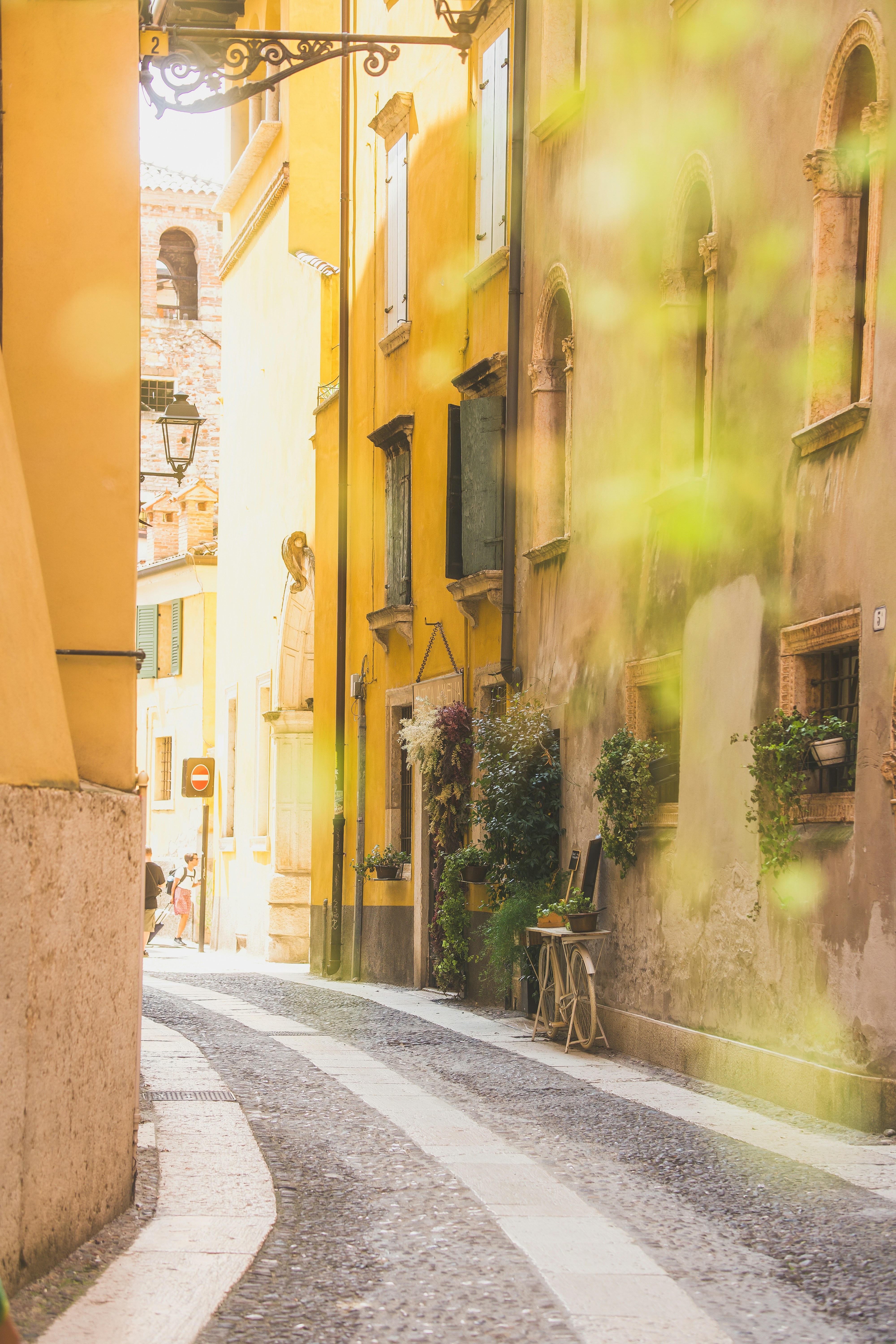 Whispers of a Sunlit Alley