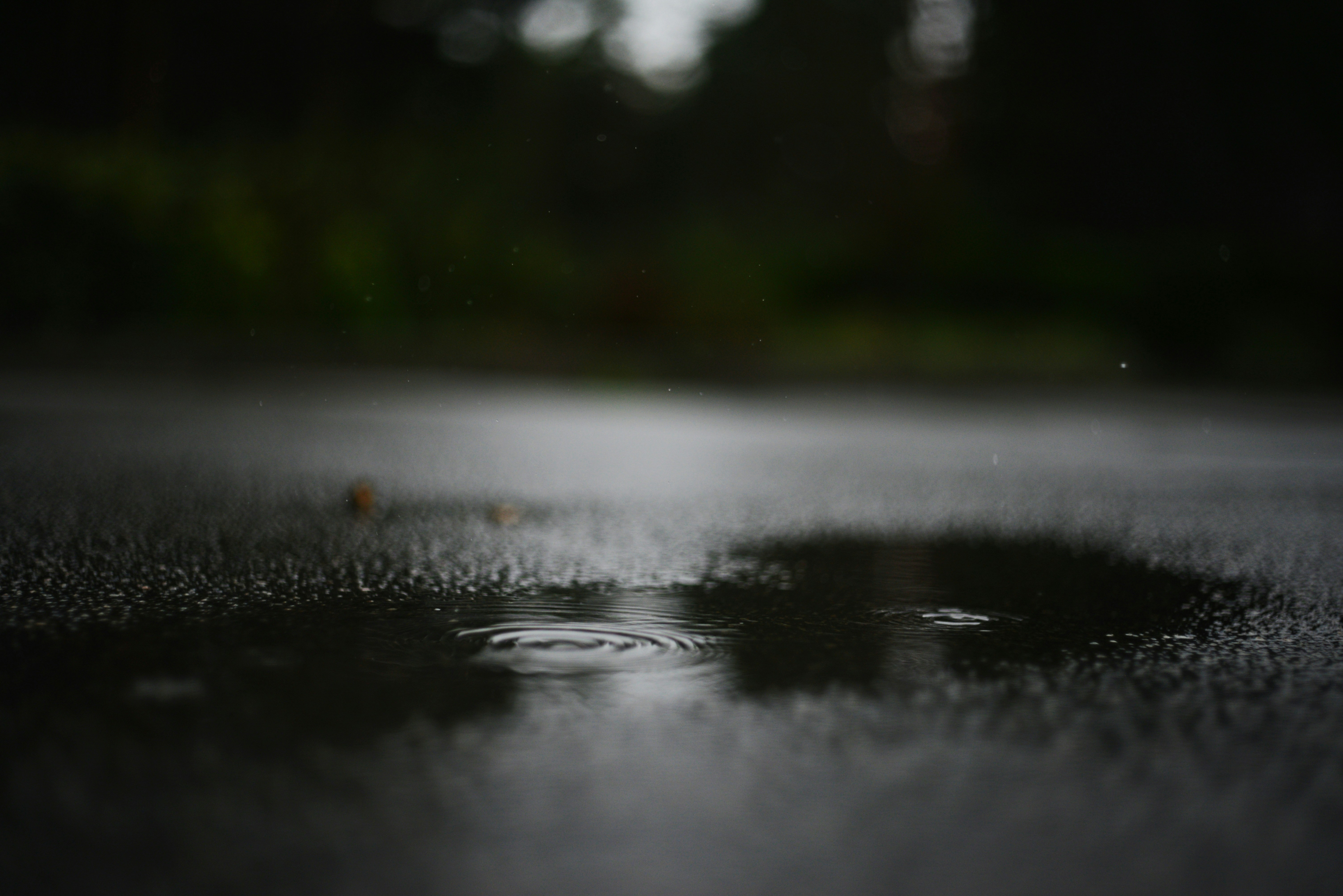 A puddle of water sitting on the side of a road photo – Free Nature ...