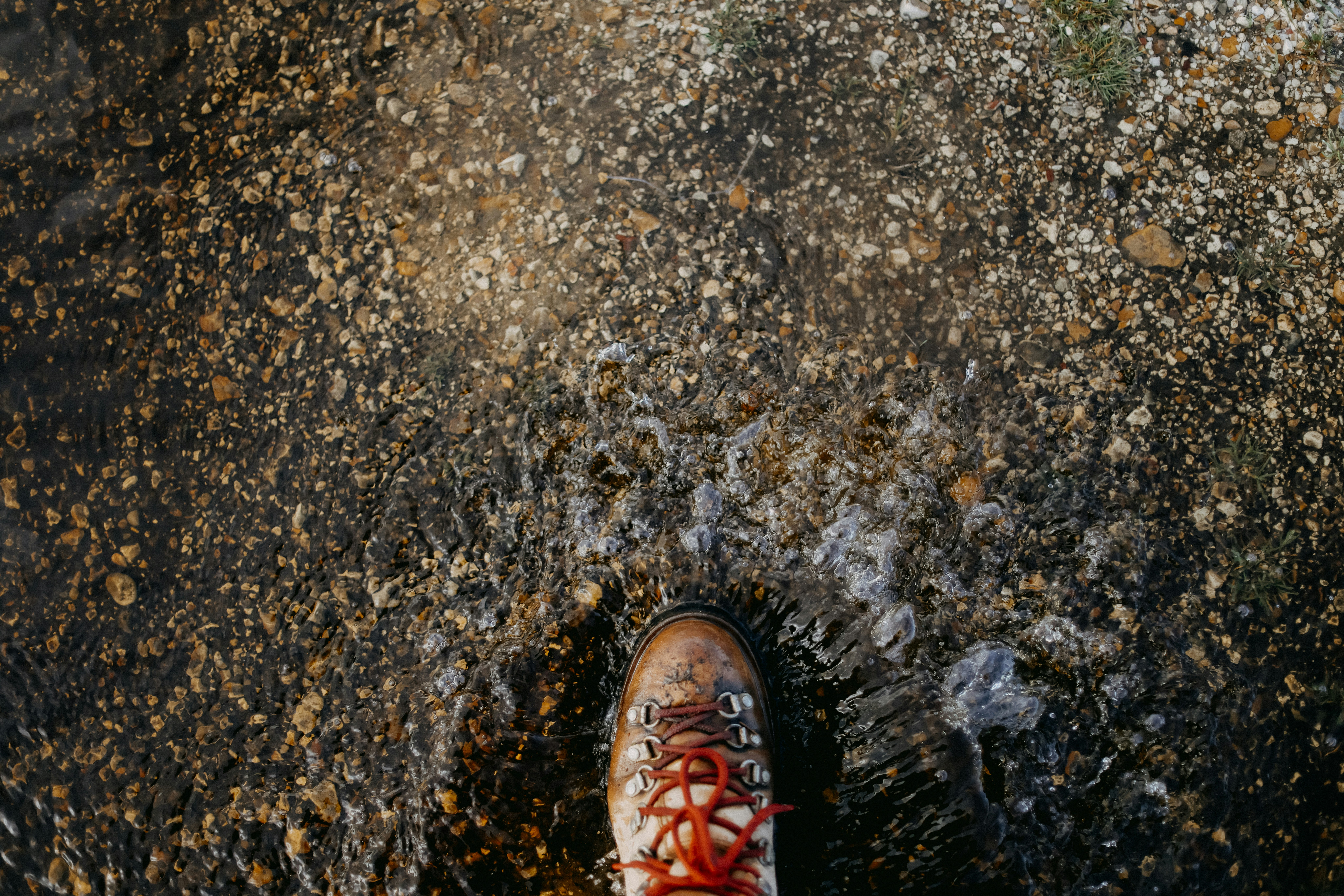 A person standing in a puddle of water photo – Free Puddle Image on ...