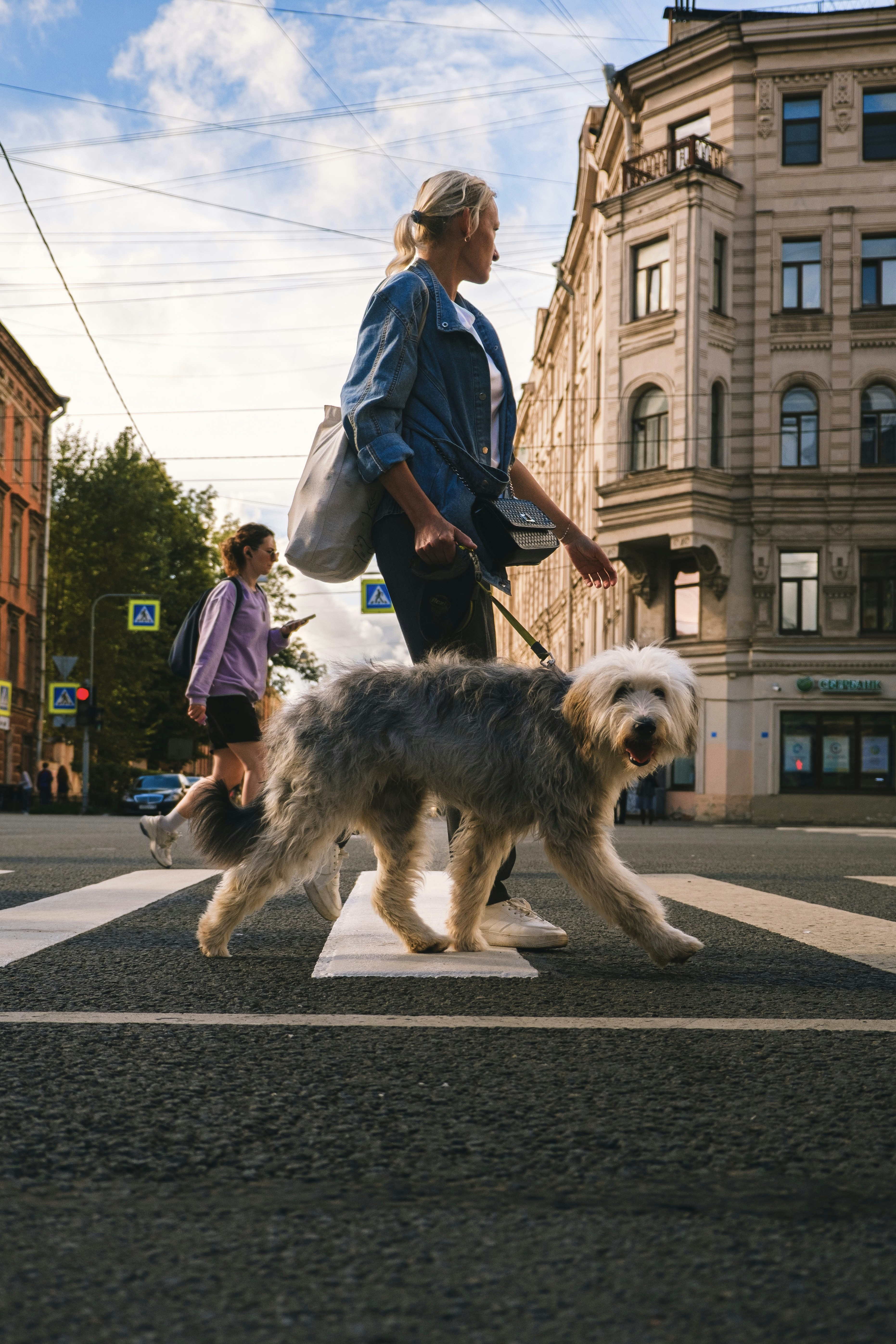 Denim Crossing: A City Street Moment with a Fluffy Sidekick
