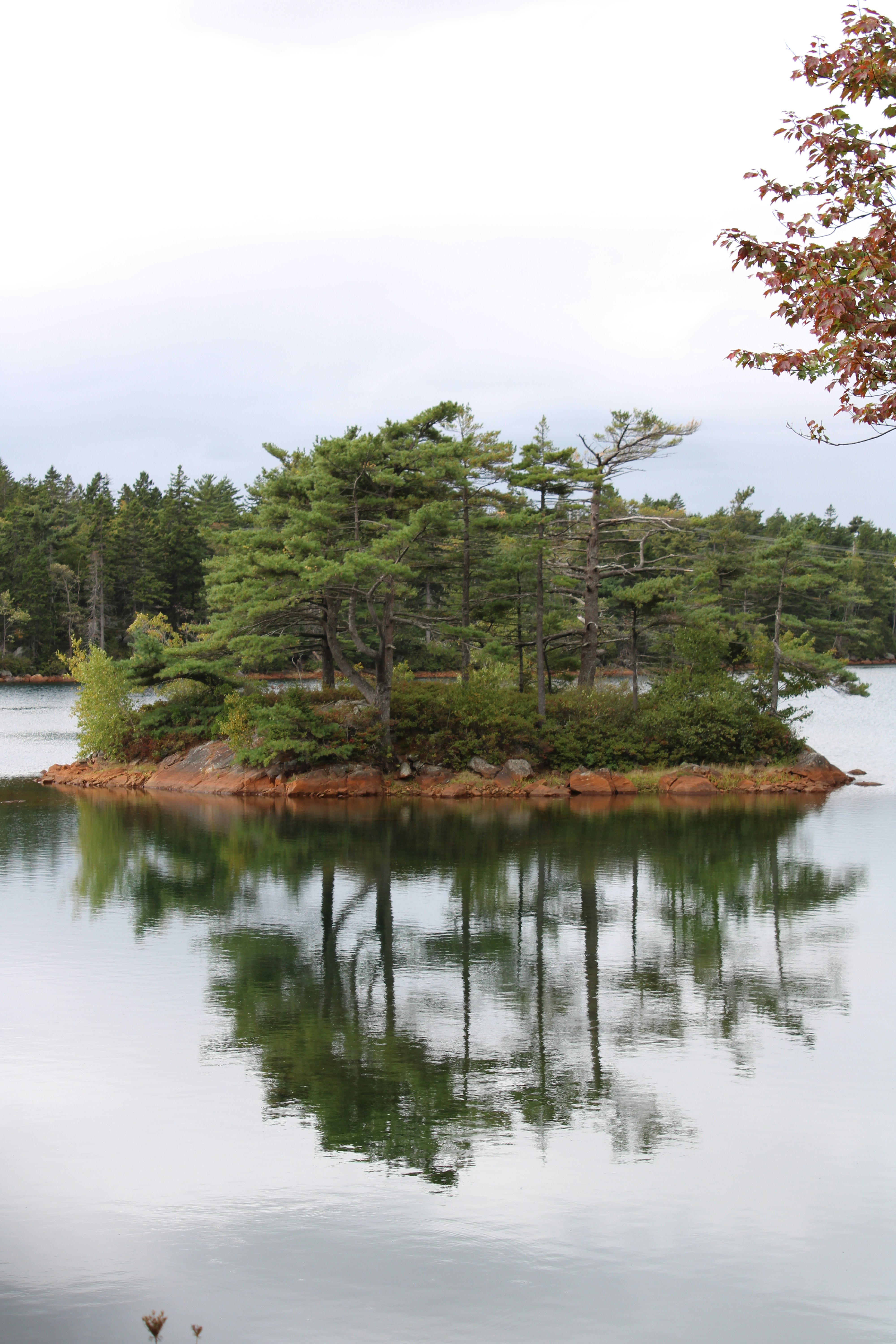 A small island in the middle of a lake photo – Free Forest Image on ...