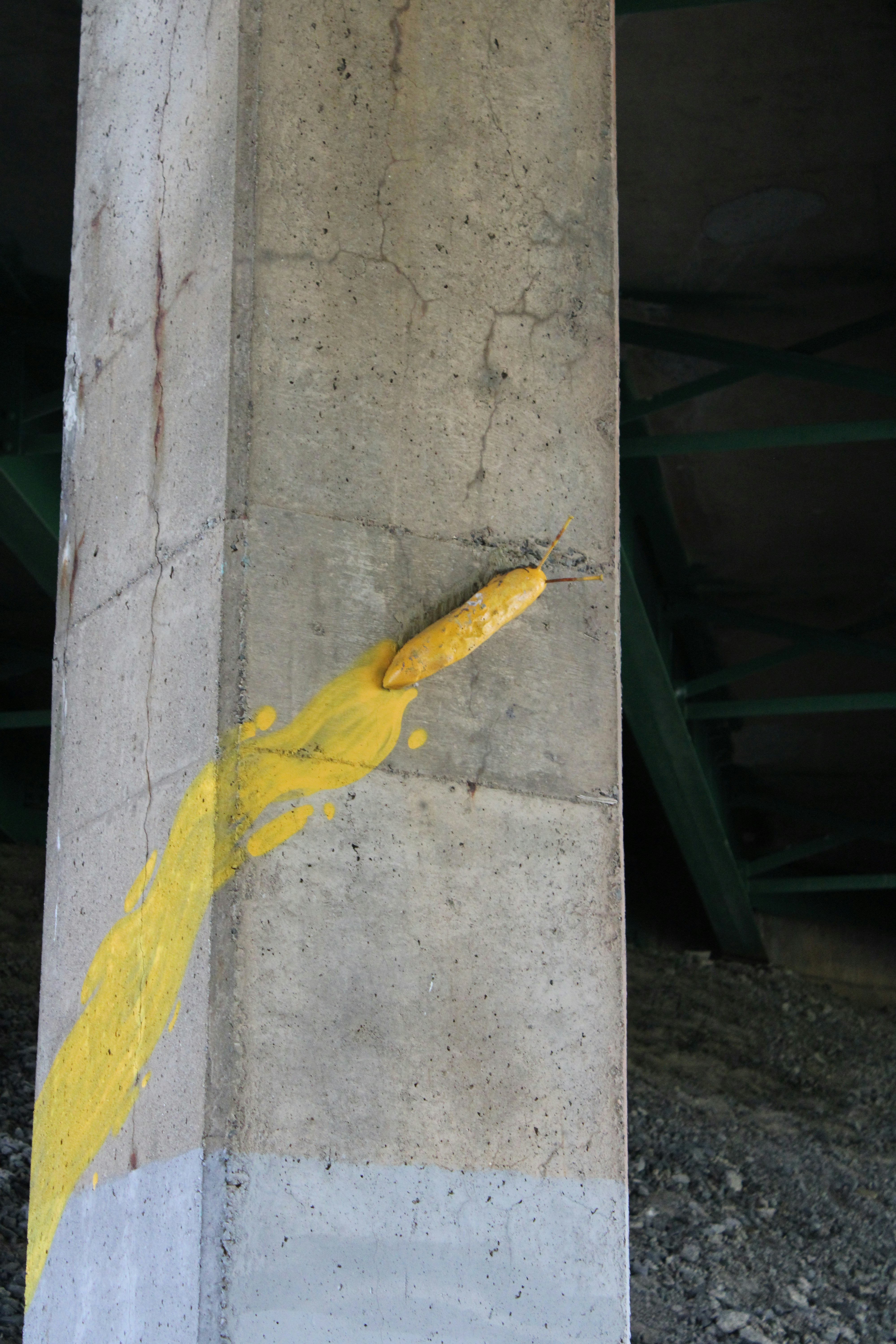 Under-Bridge Yellow Stroke on a Cracked Concrete Pillar