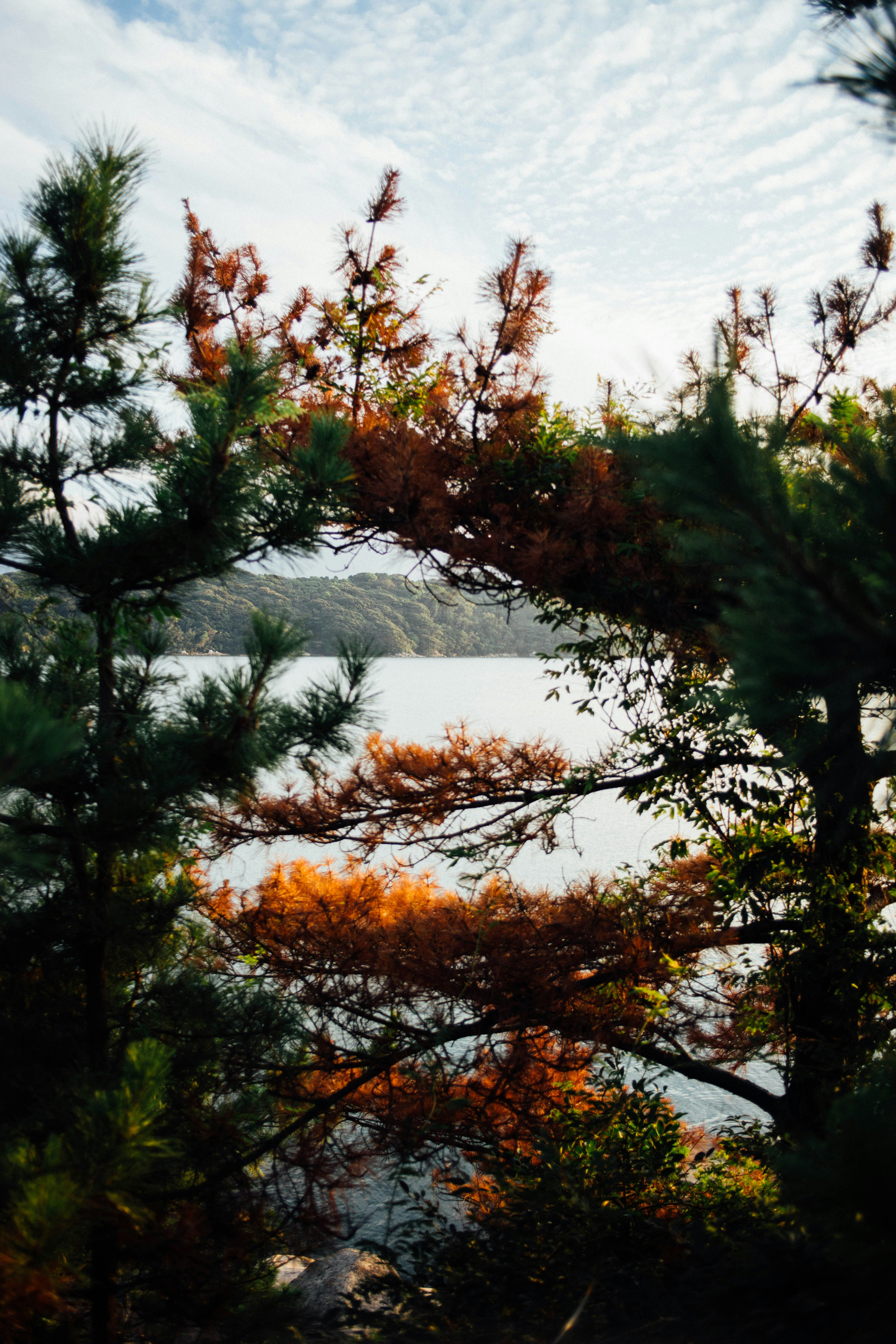 Autumn Crest Over the Quiet Lake