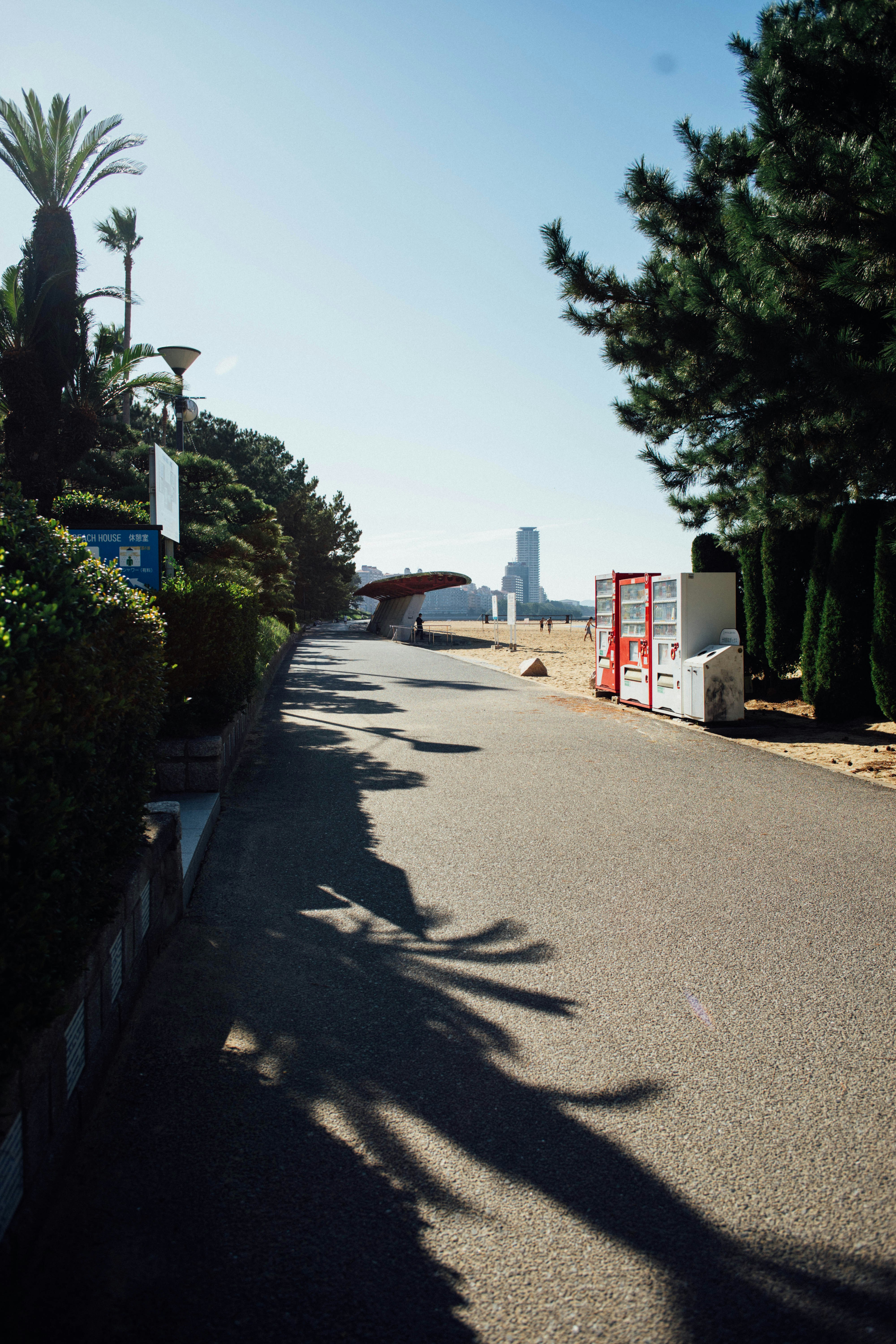 Photo by Leopold Maitre with Sony Alpha 7