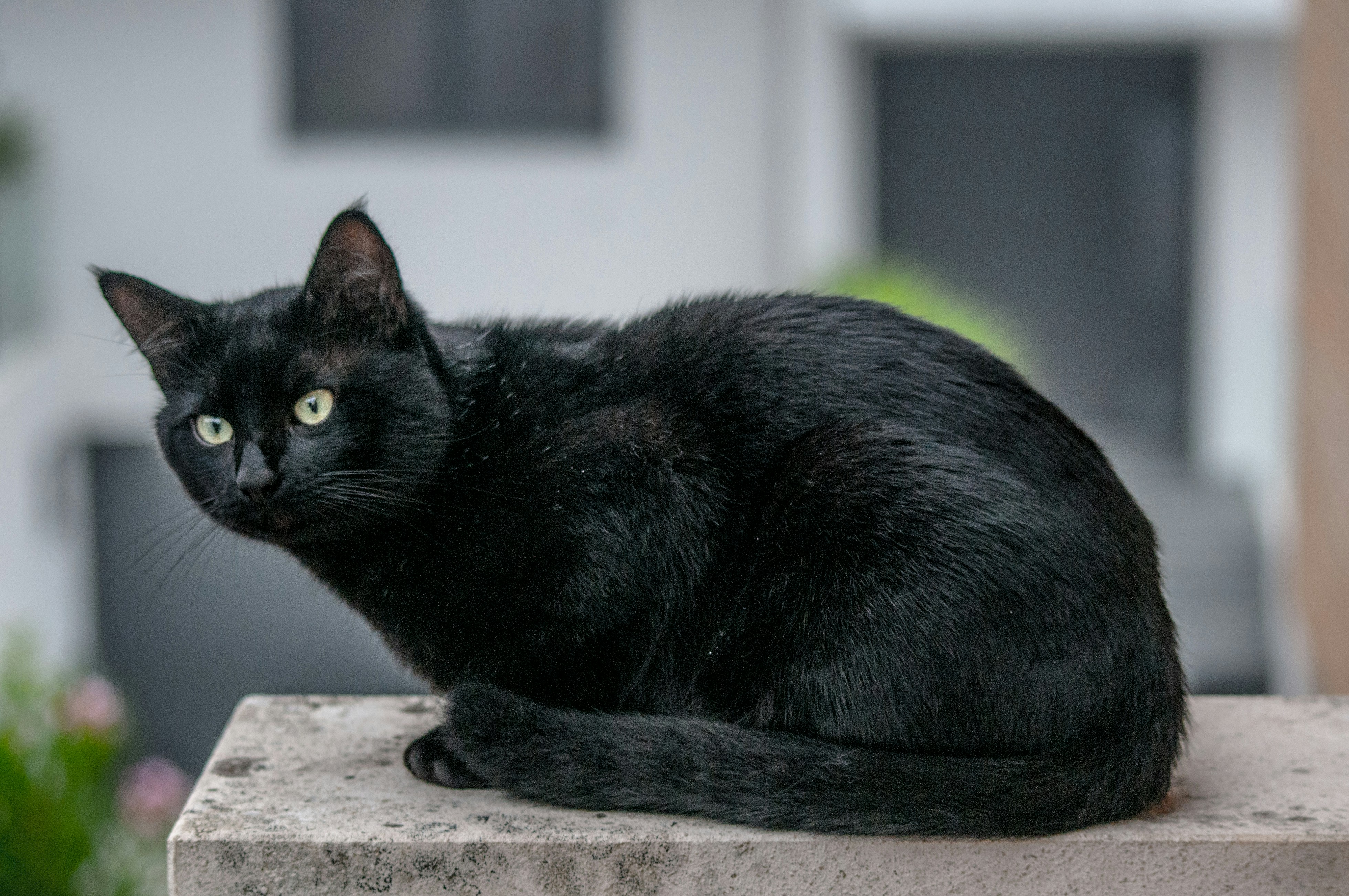 Photo by João Salreta with Nikon D300S