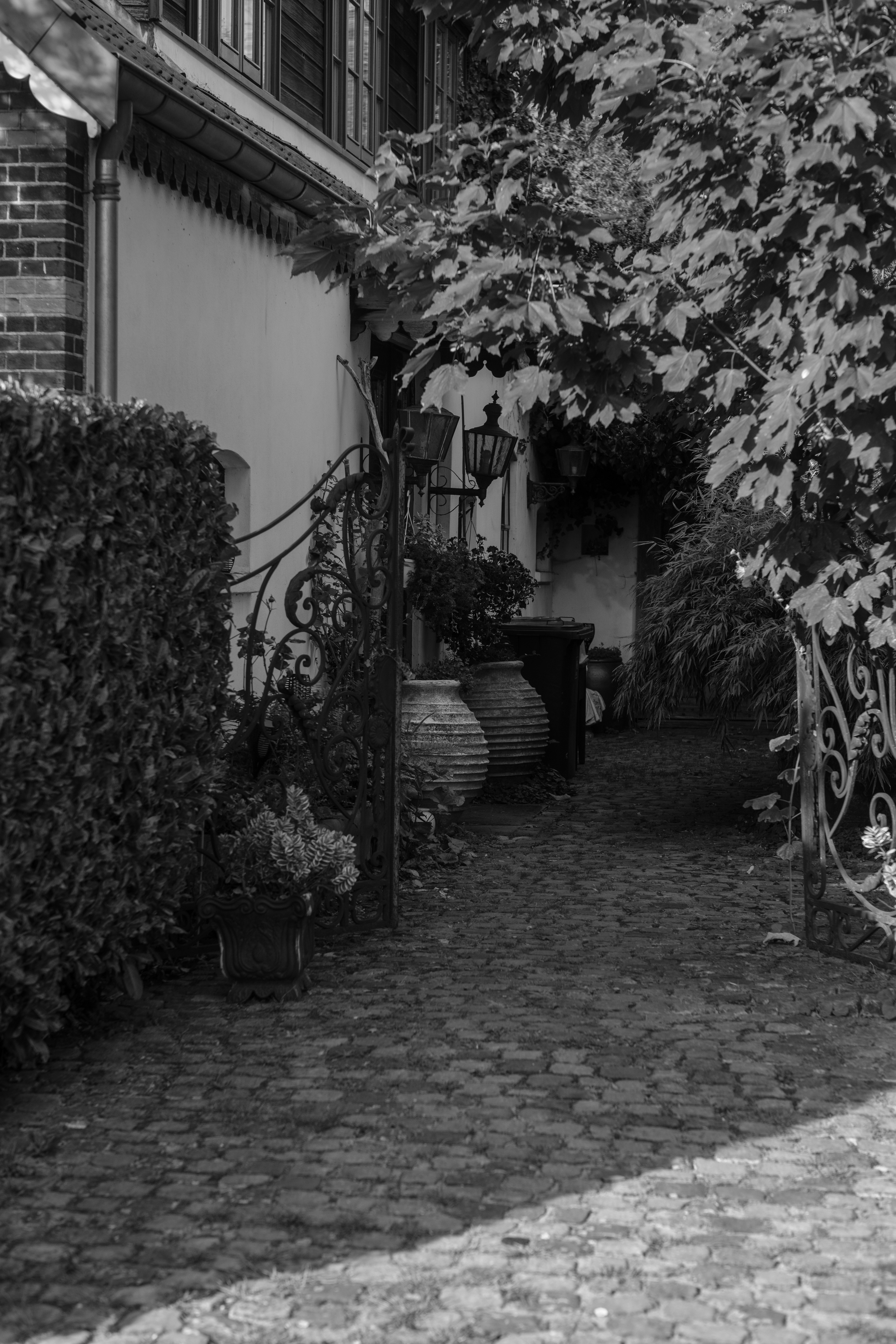 Whispering Path: Cobblestone Corridor Framed by Lanterns and Foliage