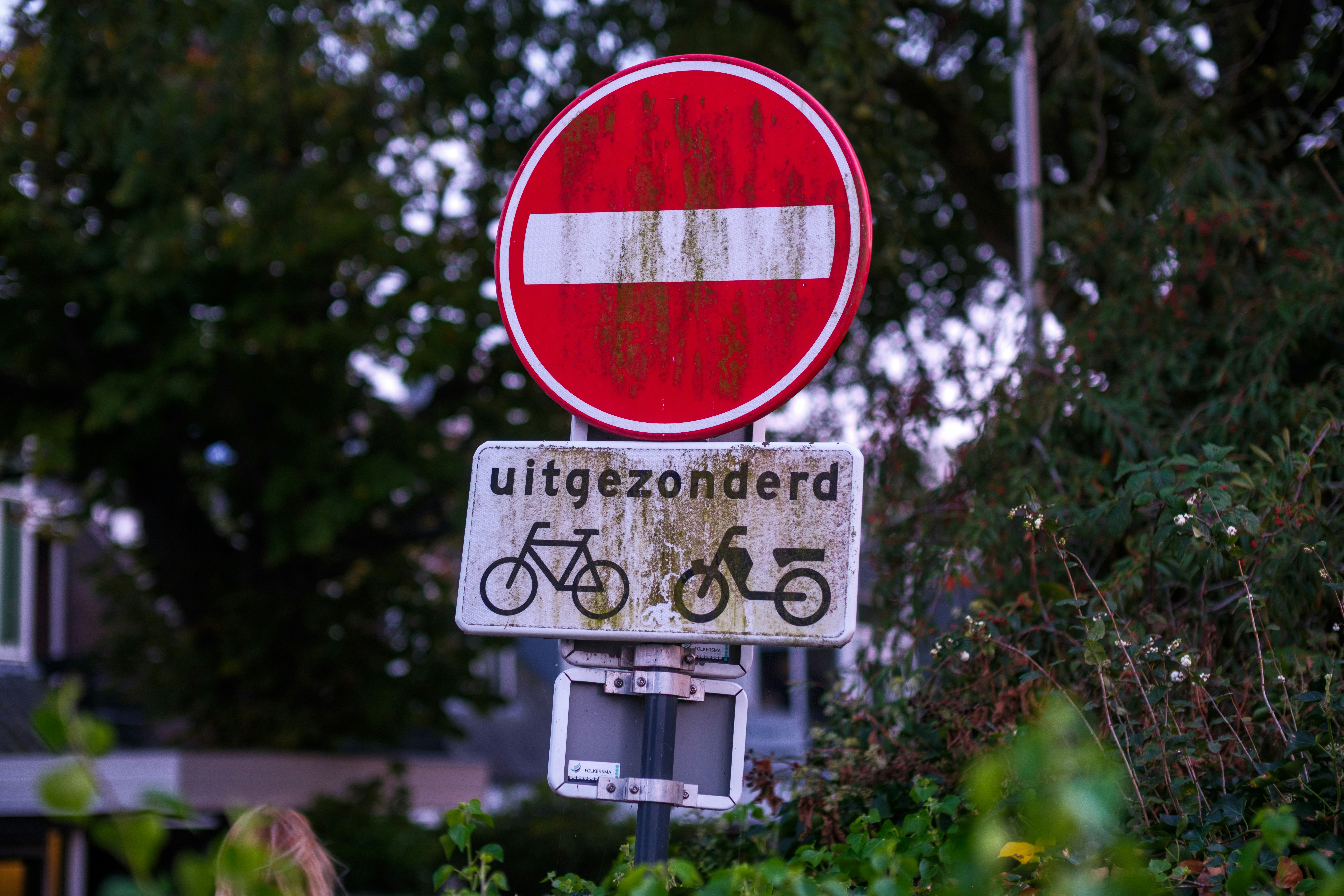 No-Entry Sentinel Framed by Greenery