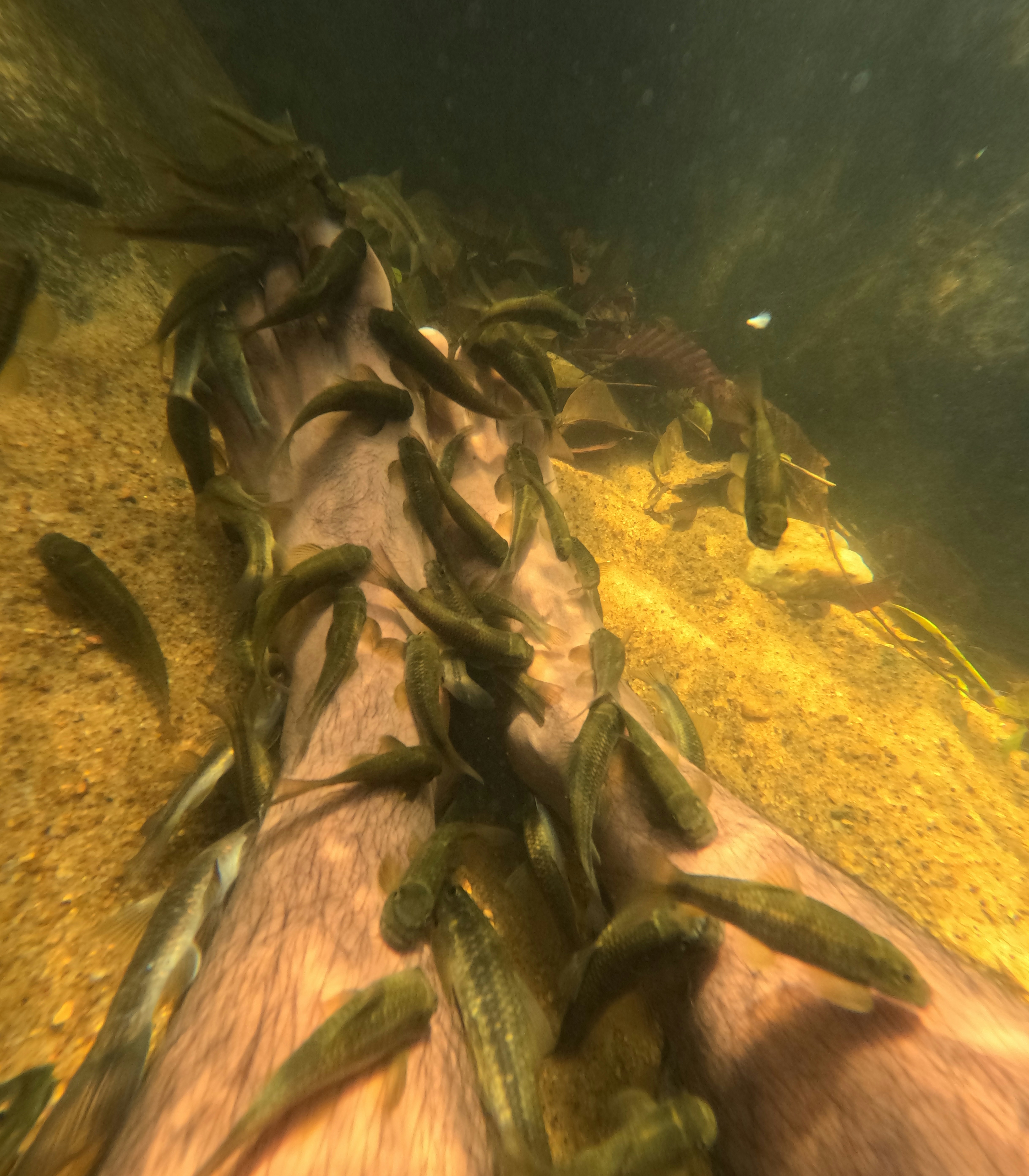 Dulana Kodithuwakku (@dulana_hansisi) | Komunitas Foto Unsplash