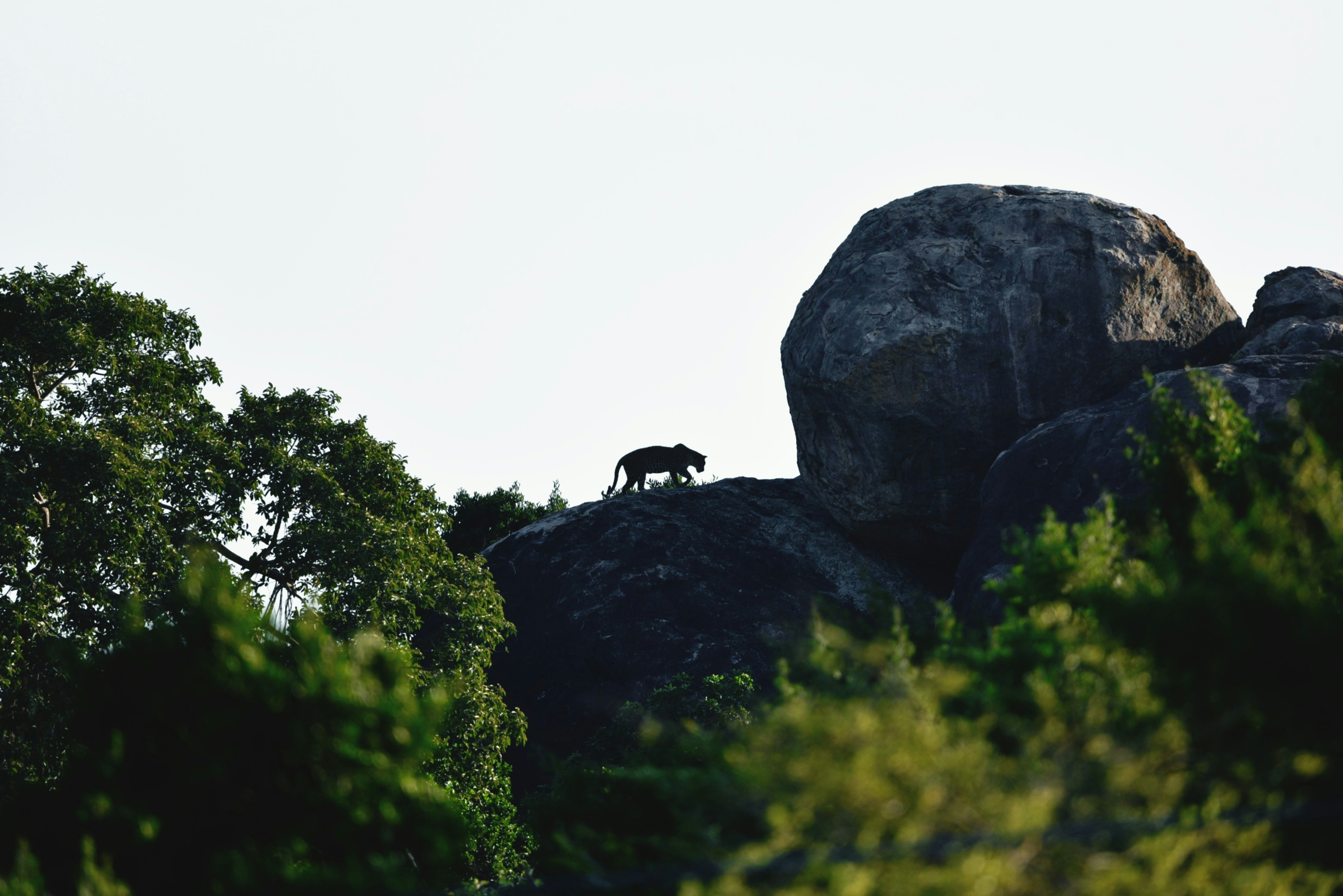 Dulana Kodithuwakku (@dulana_hansisi) | Komunitas Foto Unsplash