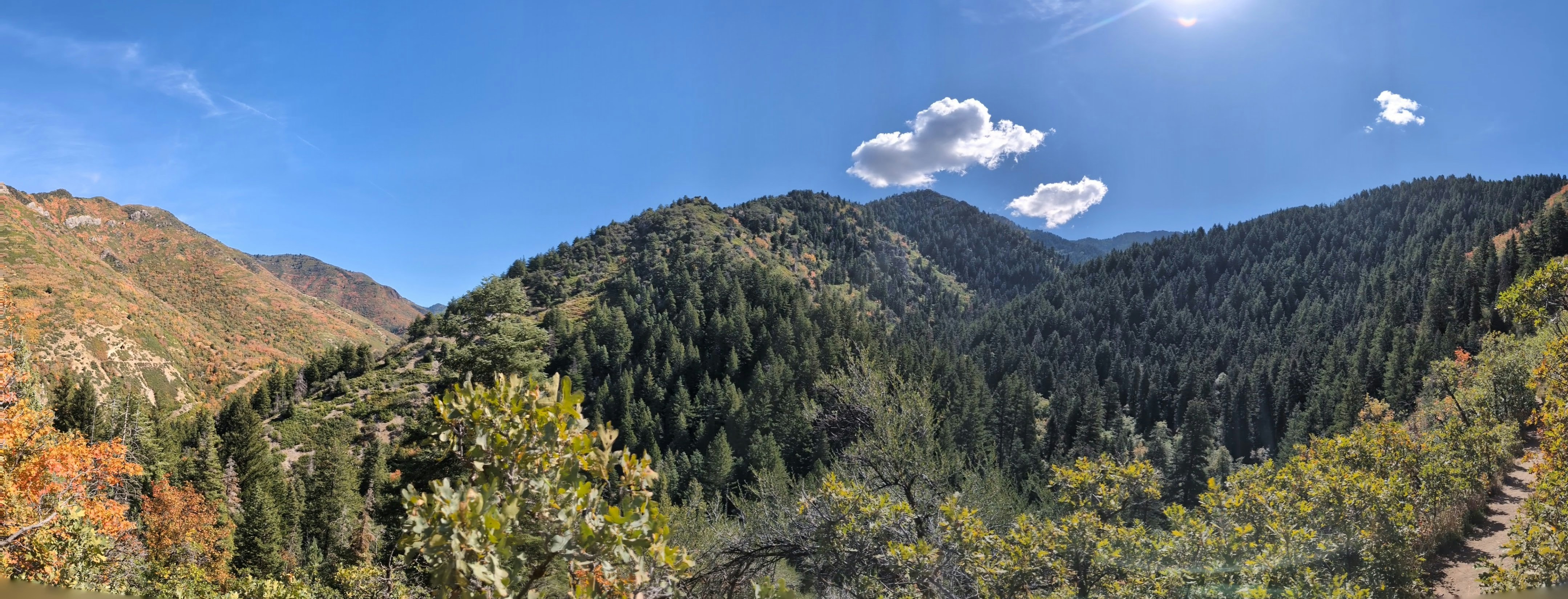 Autumn in the mountains of Utah.