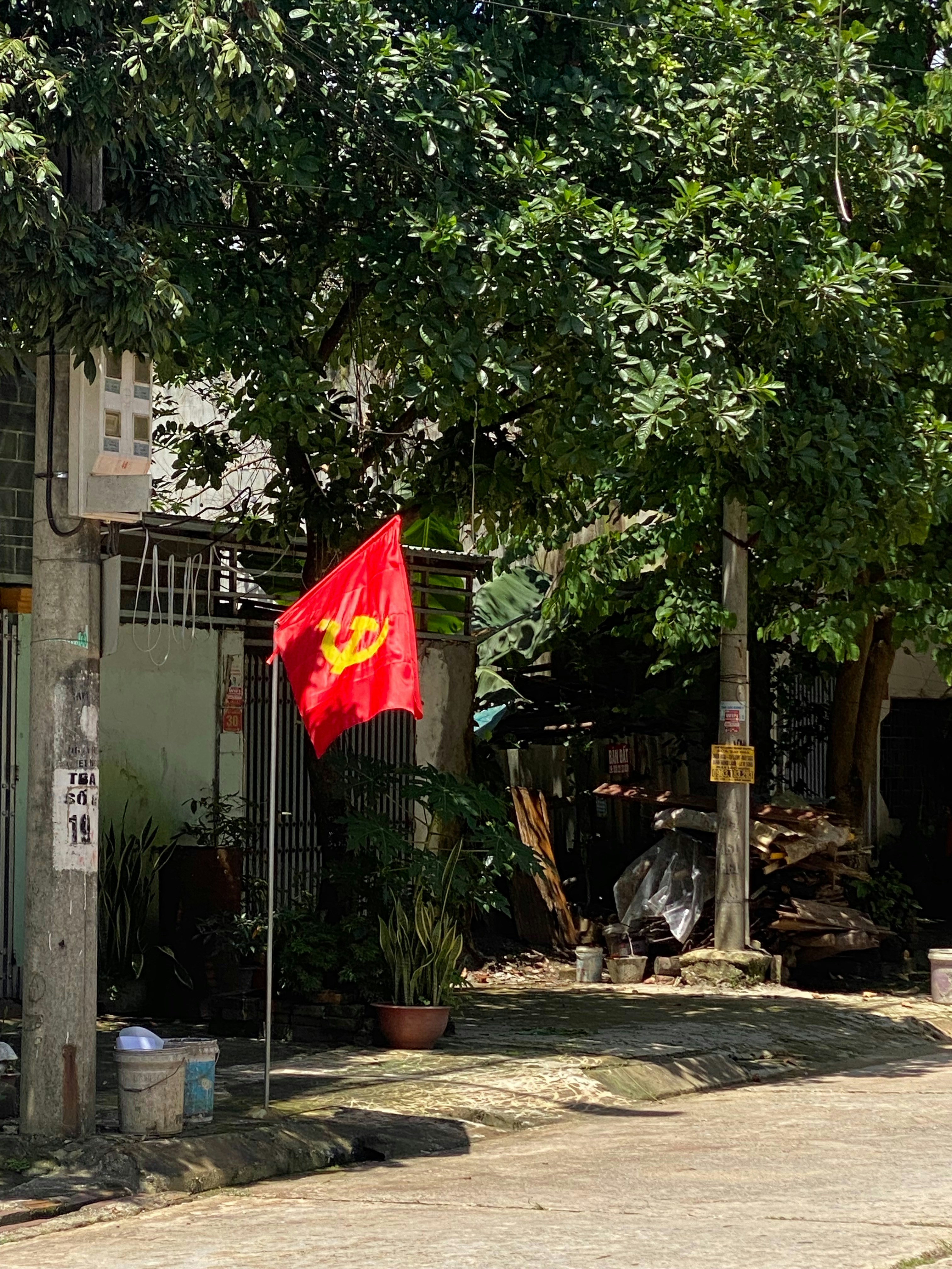 Crimson Banner Under a Leafy Canopy on a Quiet Street