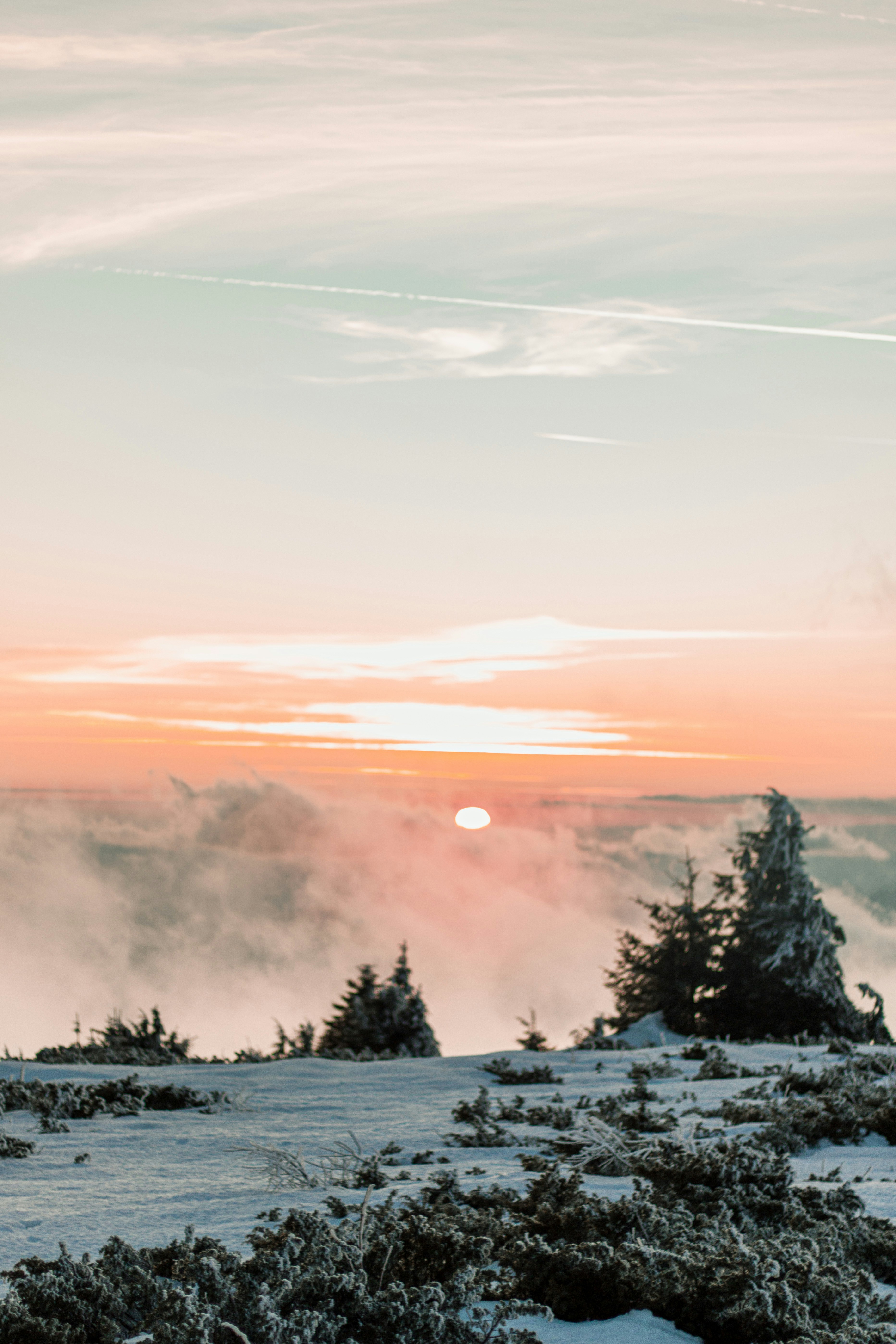 Photo by Adrian Botica with Canon EOS 750D