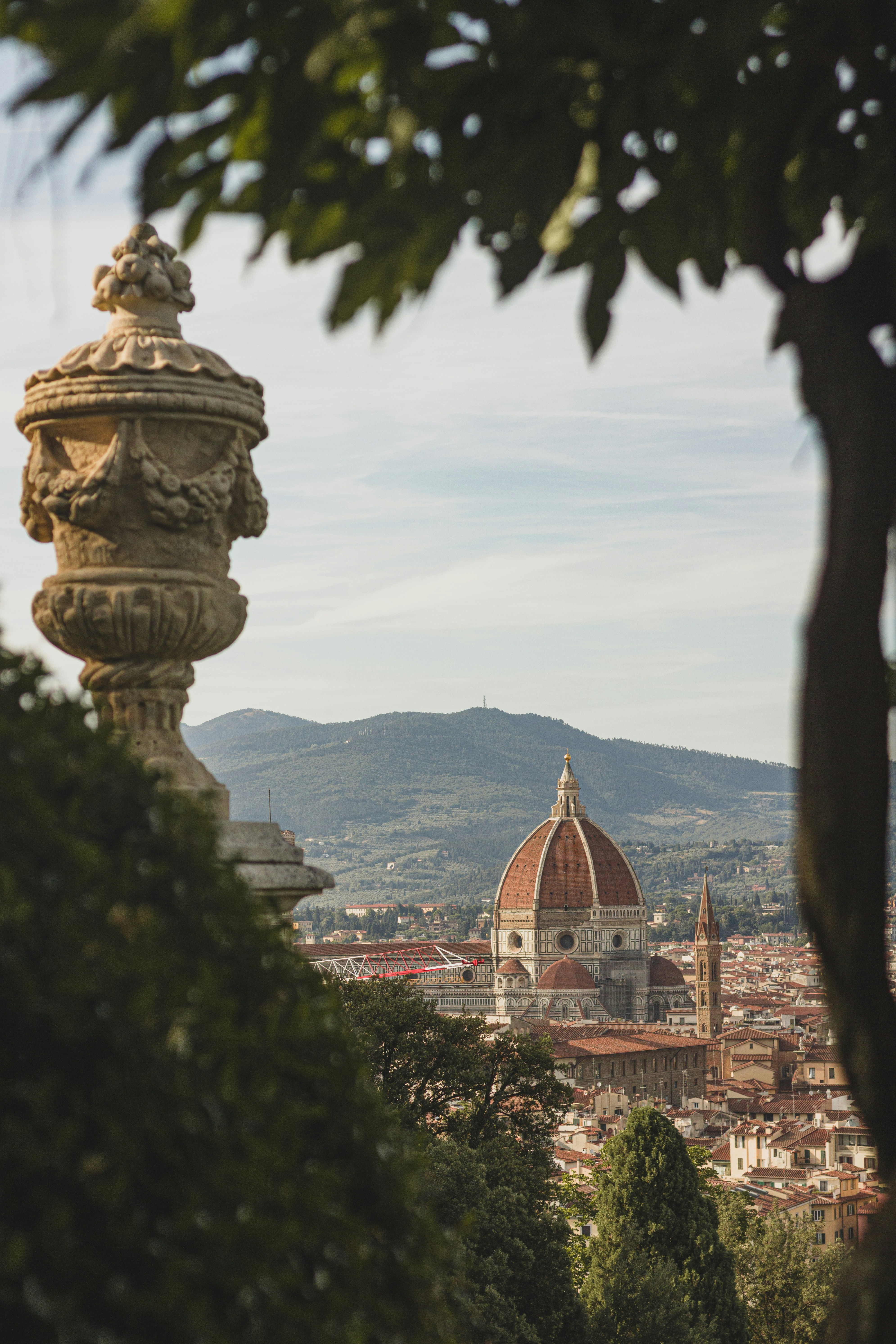 Dome Over Garden Walls: Florence's Cathedral Through a Leafy Frame
