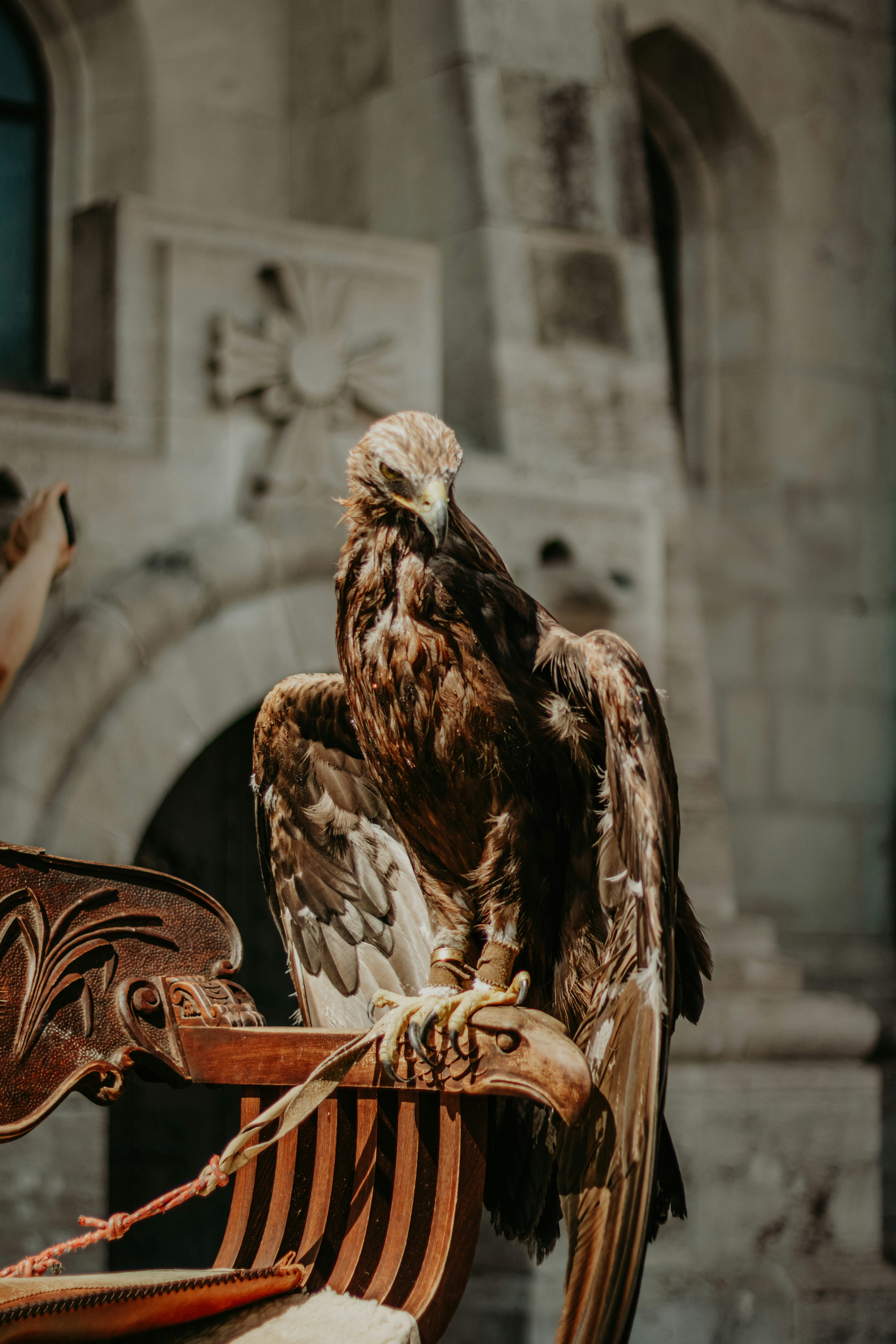 Photo by Adrian Botica with Canon EOS 750D