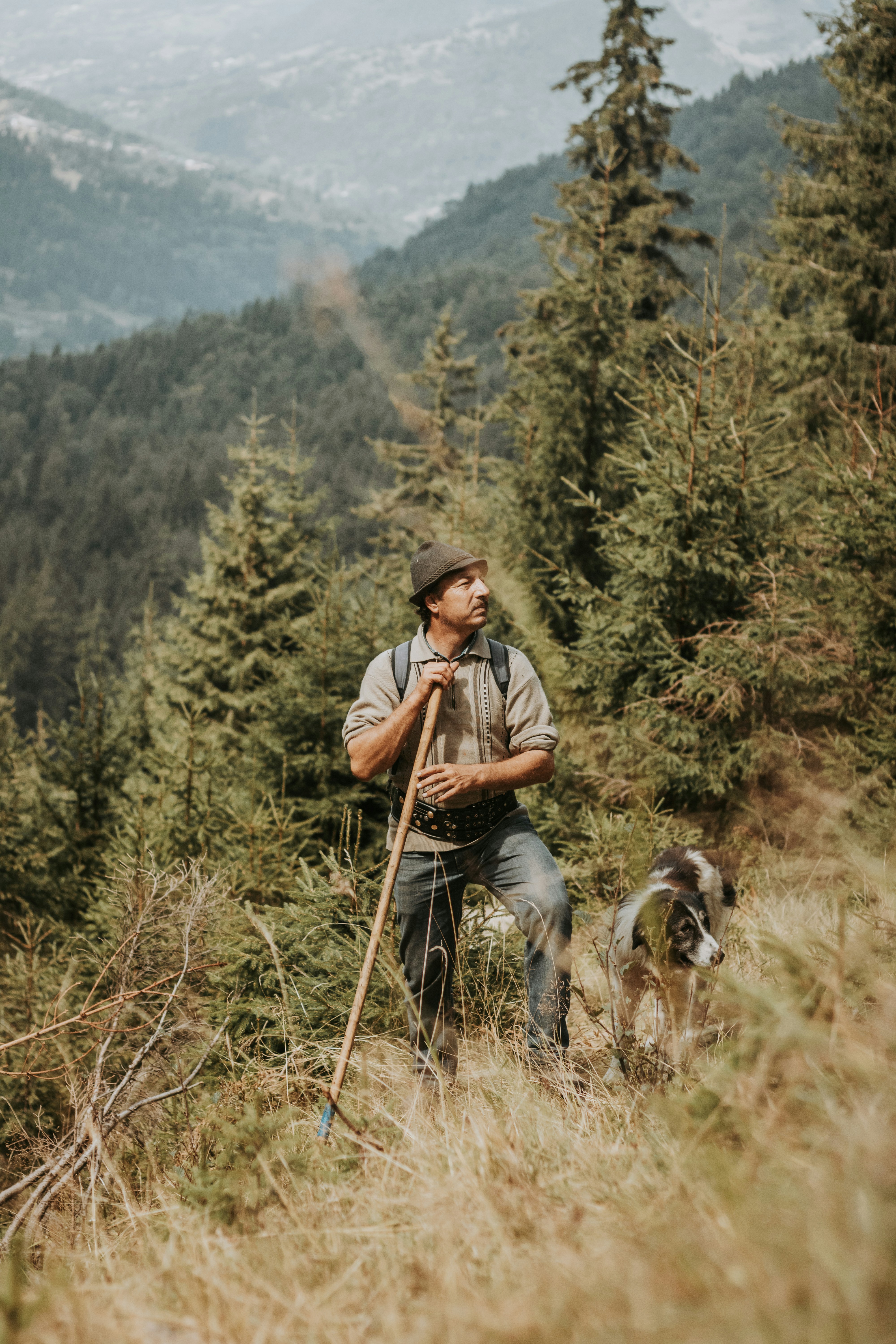 Trailbound: A Forester and his Hound Amid Mountain Pines