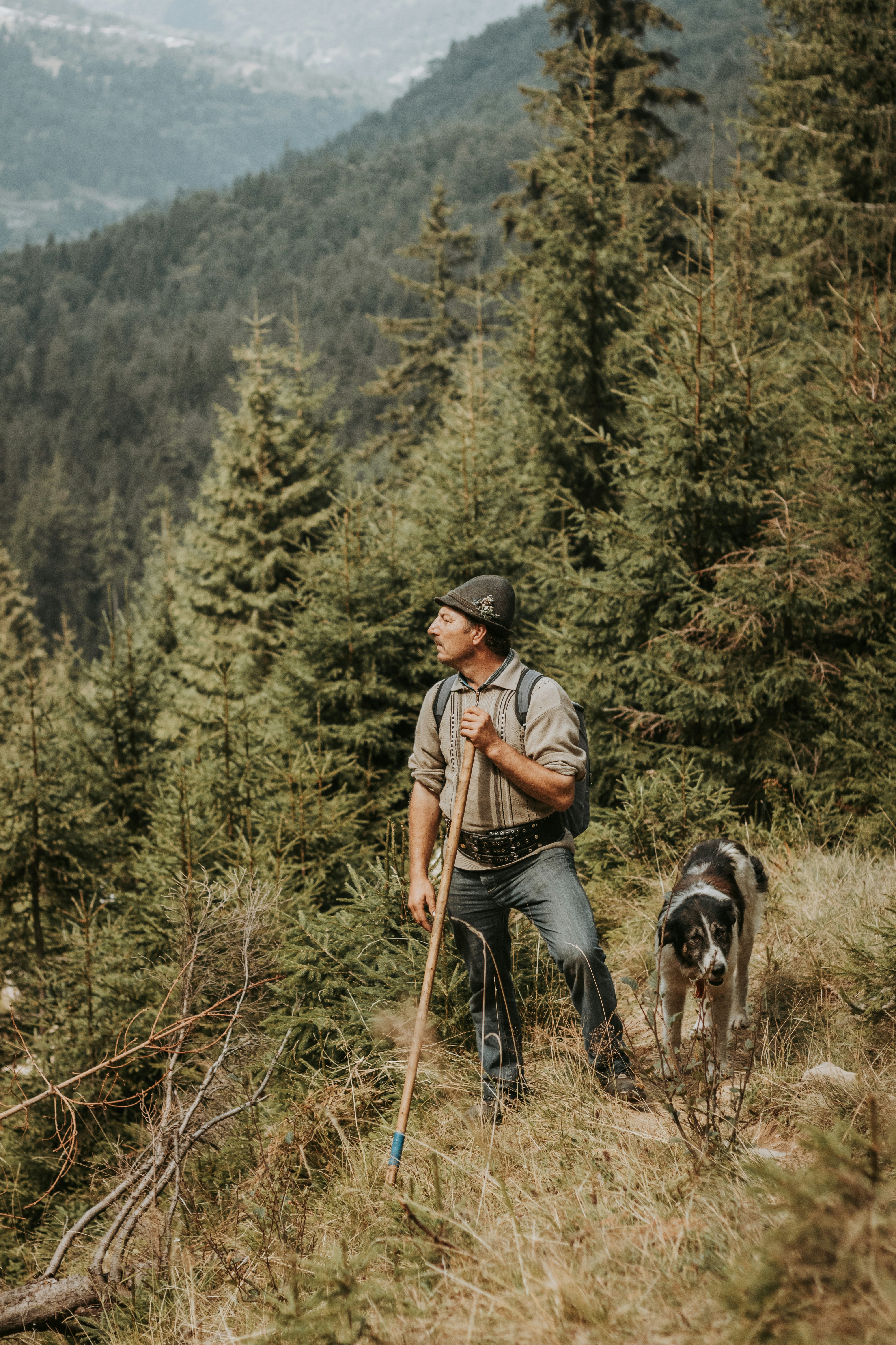 Trail Boss with a Canine Companion on a Mountain Meadow