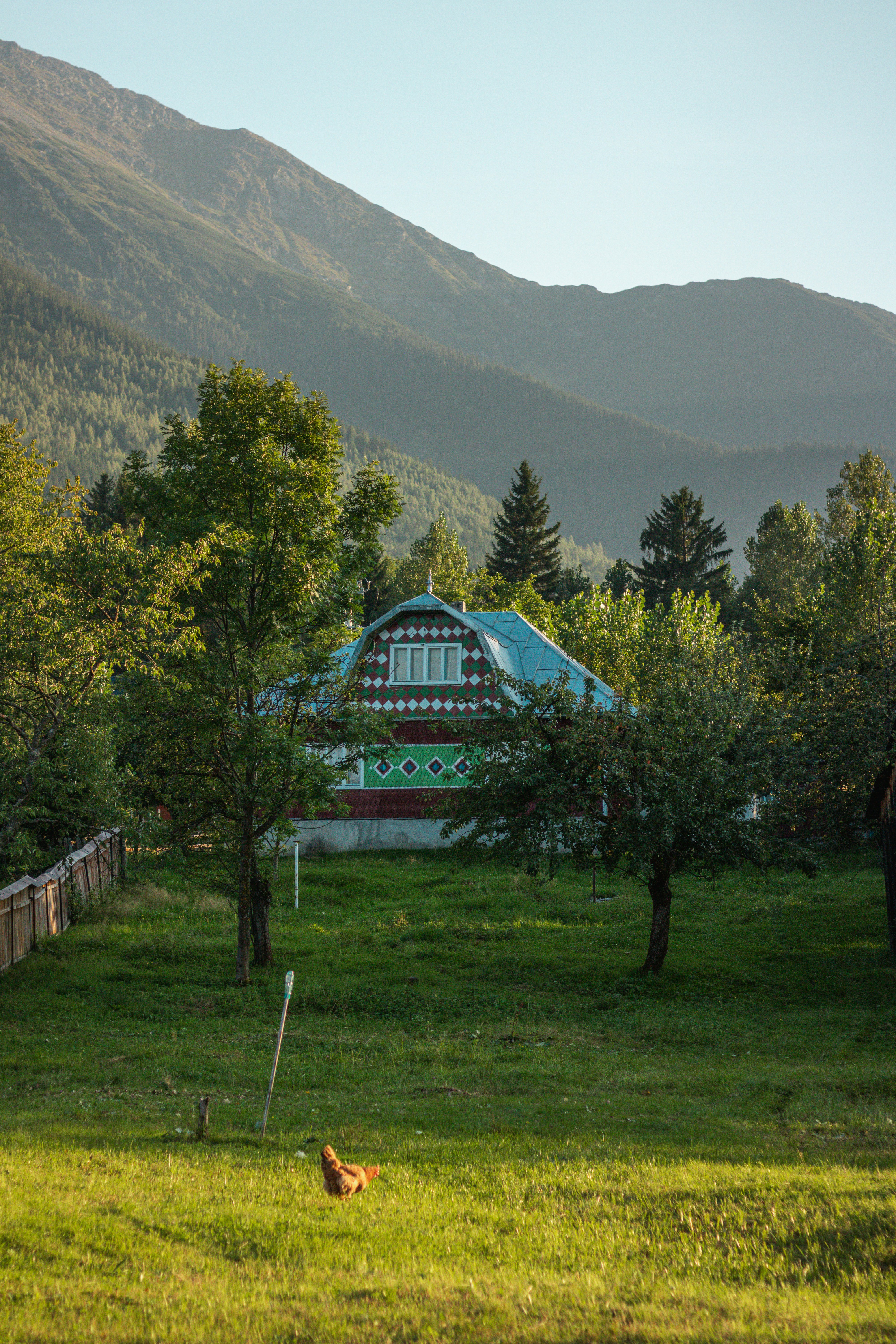 Photo by Adrian Botica with Canon EOS 750D