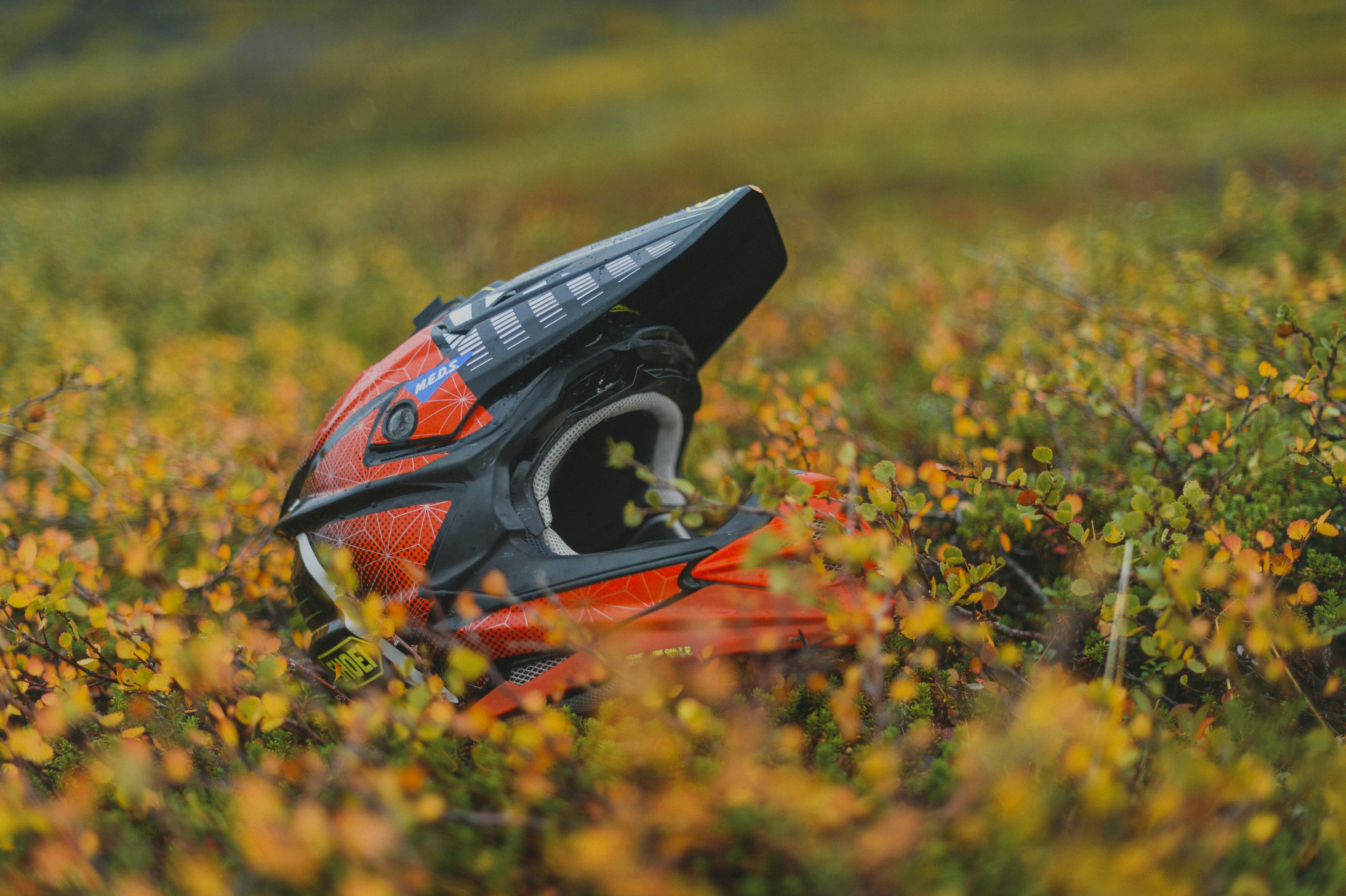 Vibrant Helmet Amid Autumn Wilderness