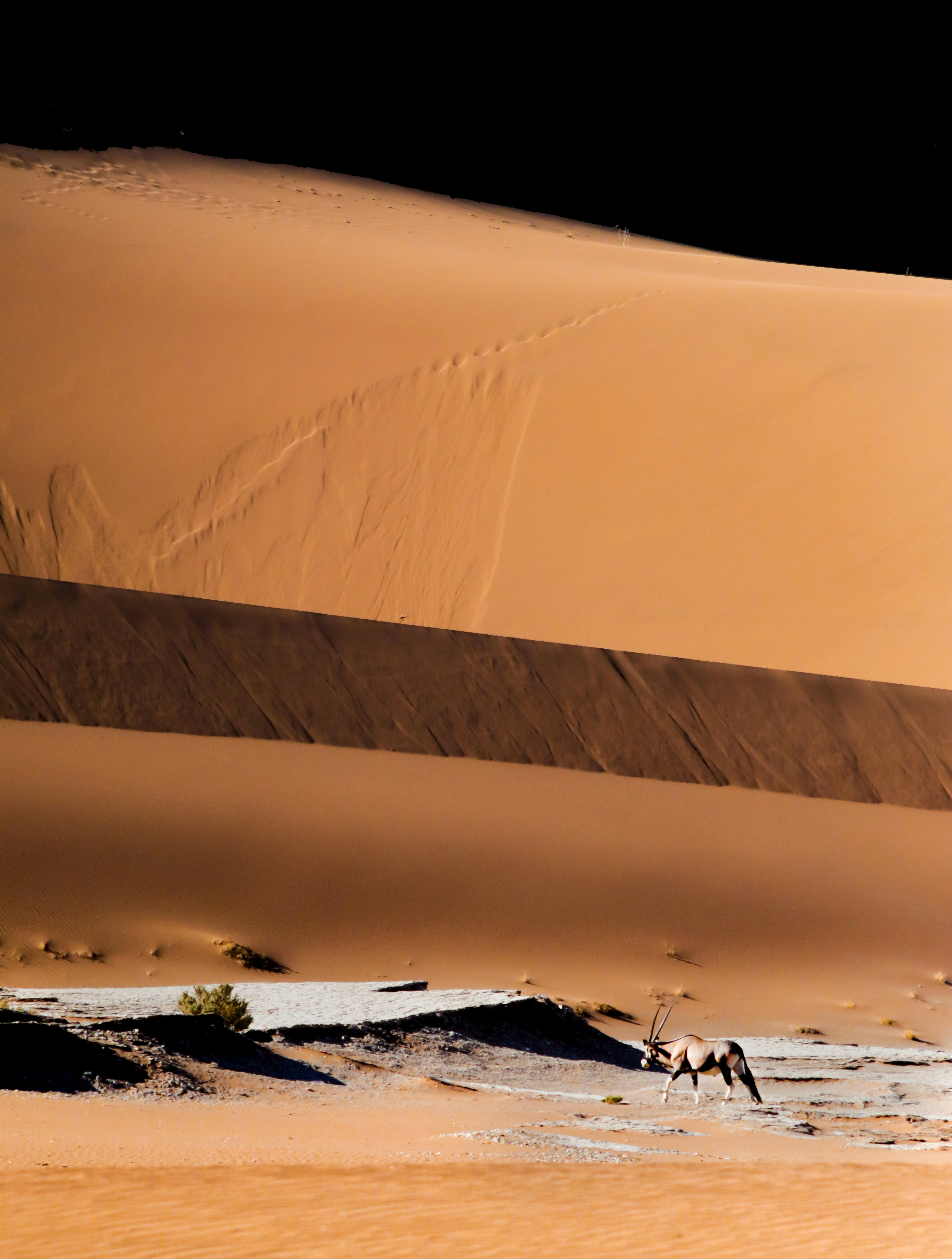 Lone Antelope at the Crest of a Night-Lit Desert Dune