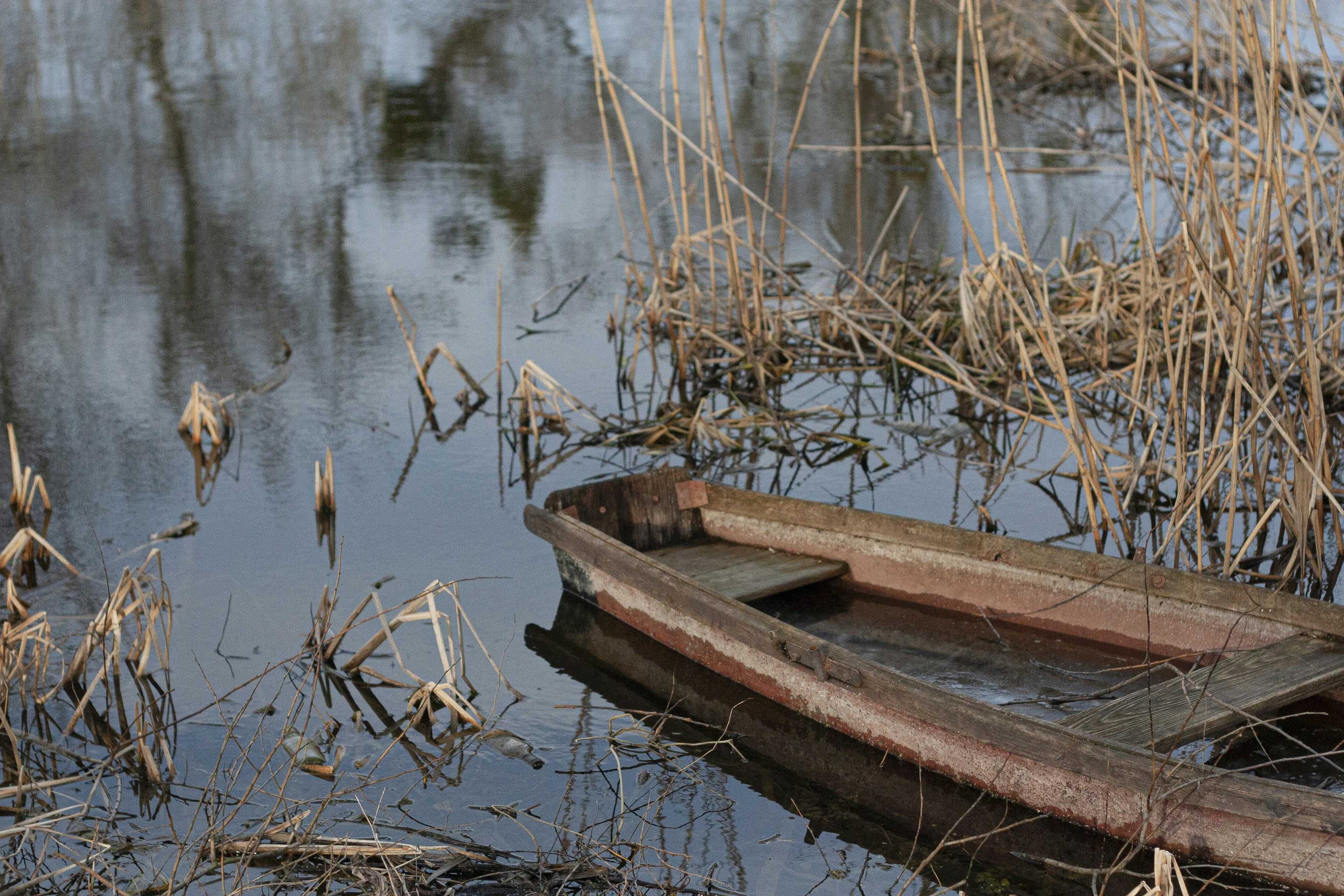 A weathered wooden boat rests in still waters, surrounded by tall grasses and reflections of trees, evoking a sense of tranquility and nostalgia.