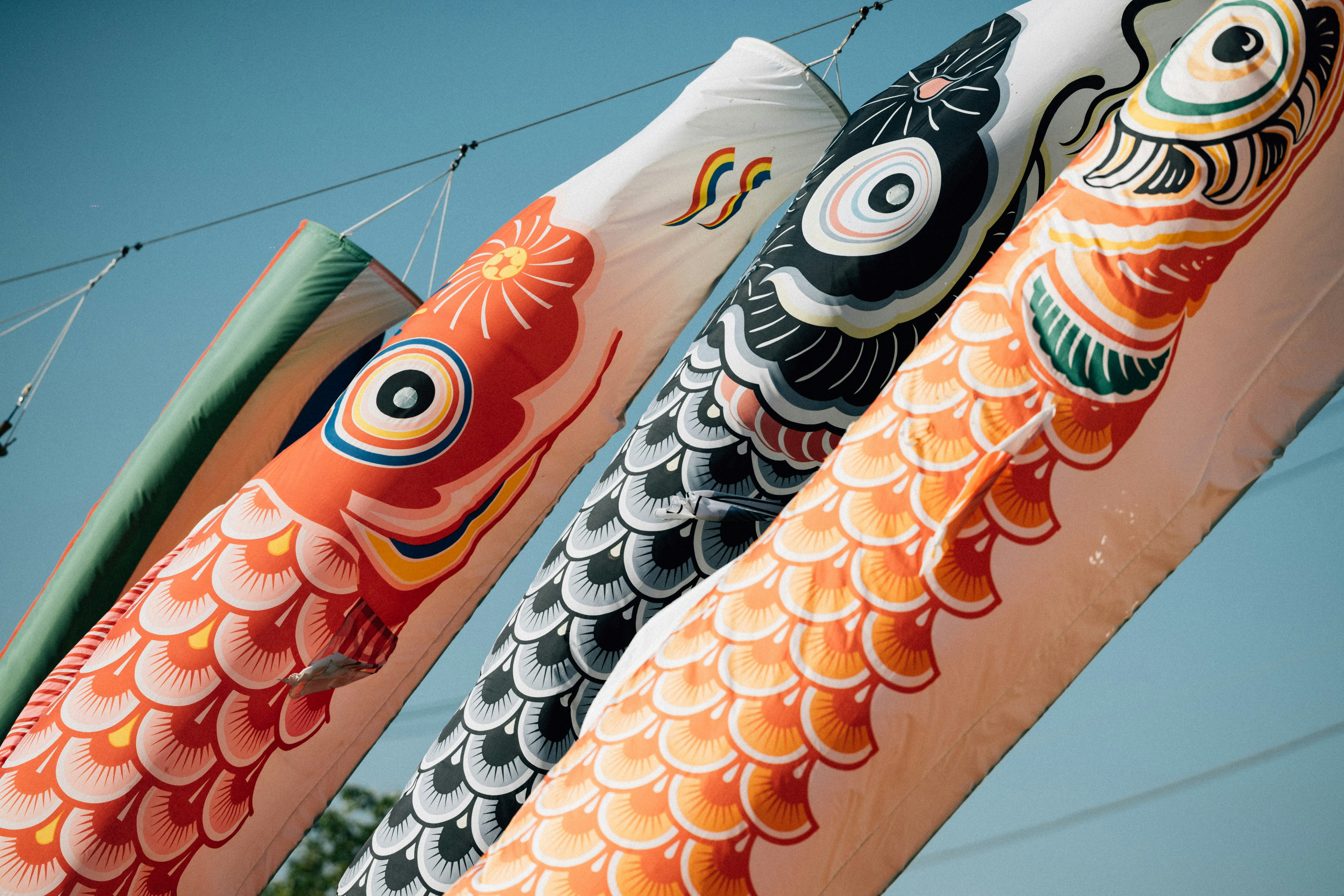 A row of kites that have fish on them photo – Free Japan Image on Unsplash