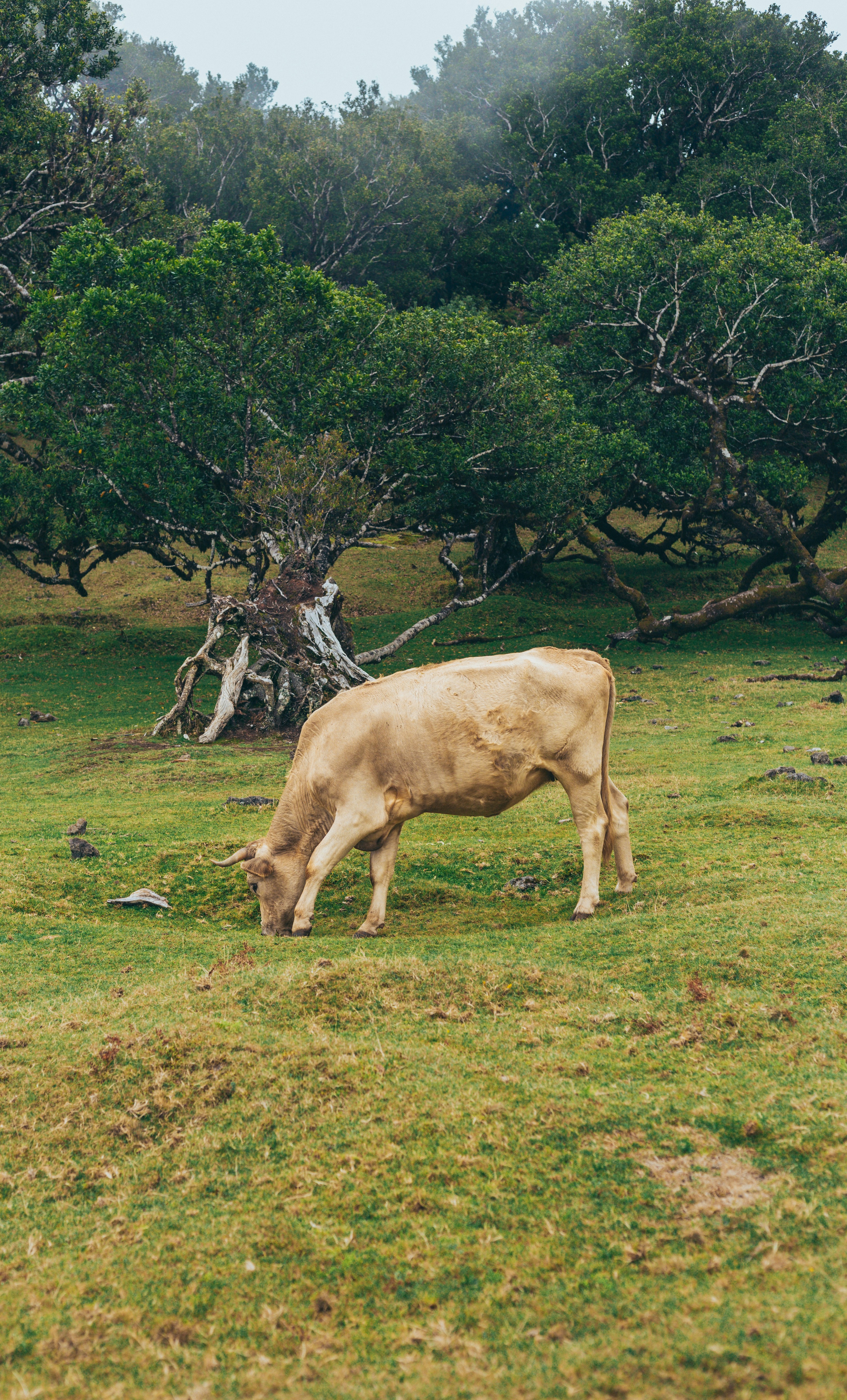 Photo by Artem Stoliar with Canon EOS 6D