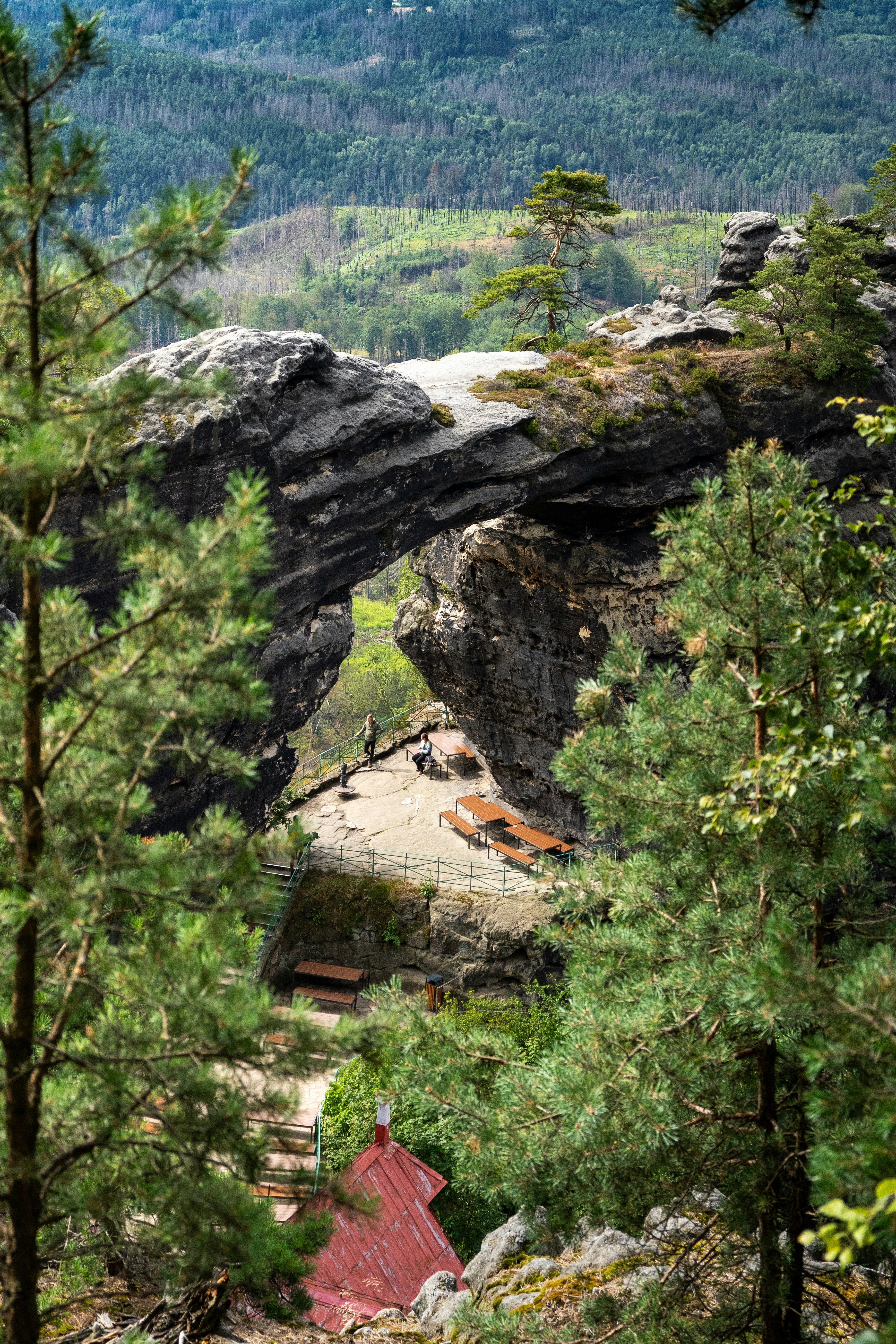 Stone Arch Lookout: A Pine-Fringed Vista into a Verdant Valley