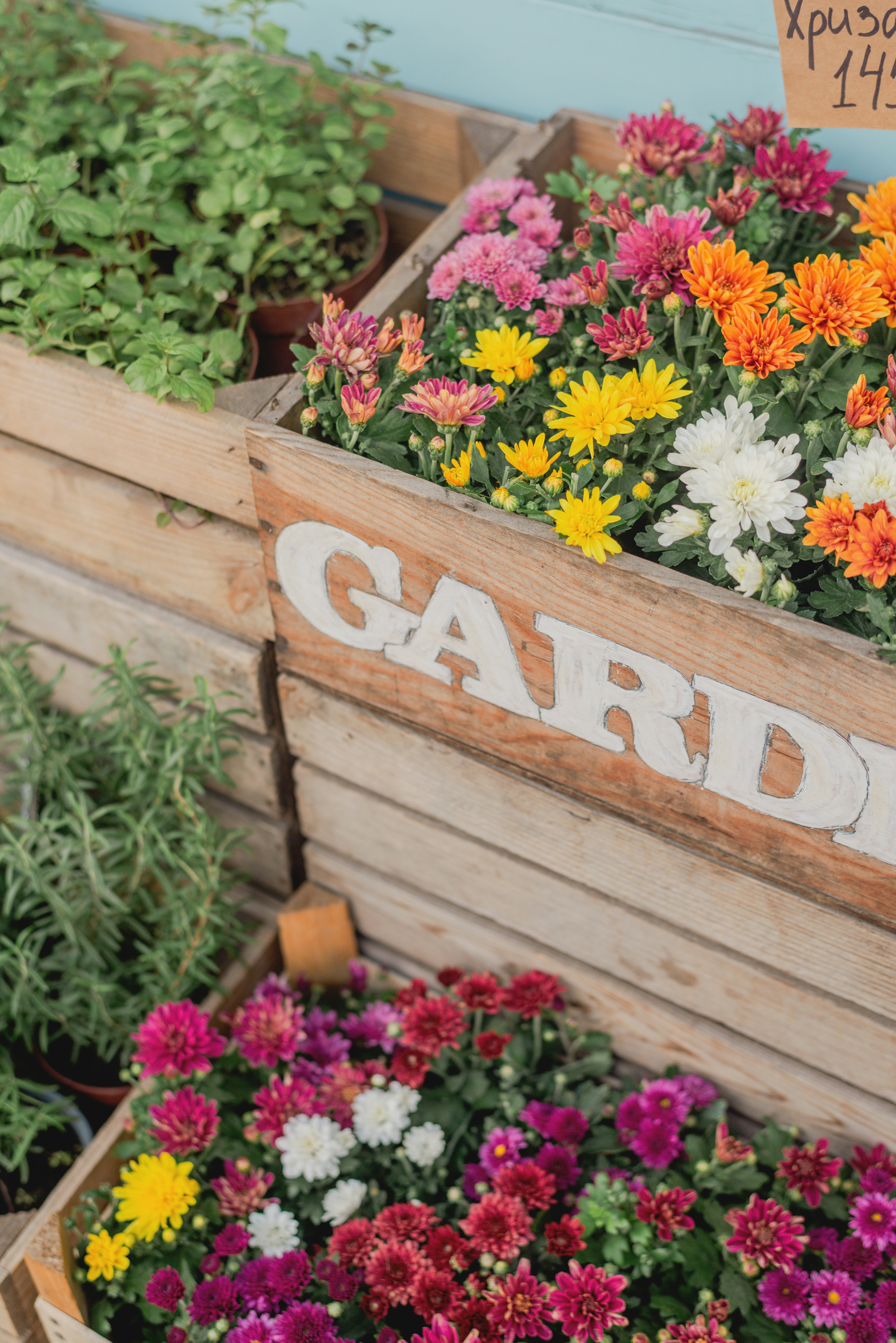Colorful planter along a wooden “GARDEN” crate