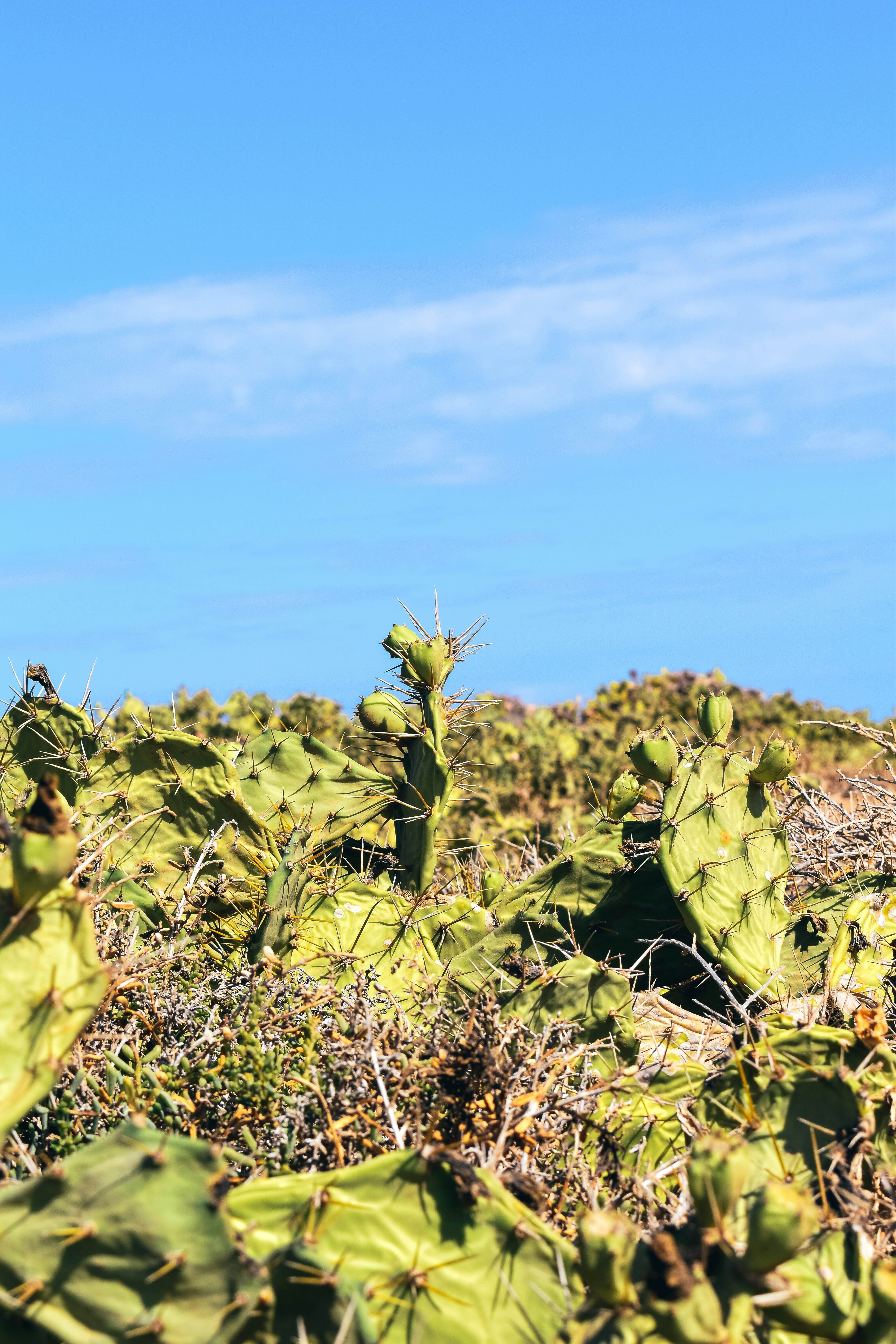 Photo by Lindy Noordhoek with Nikon D5600