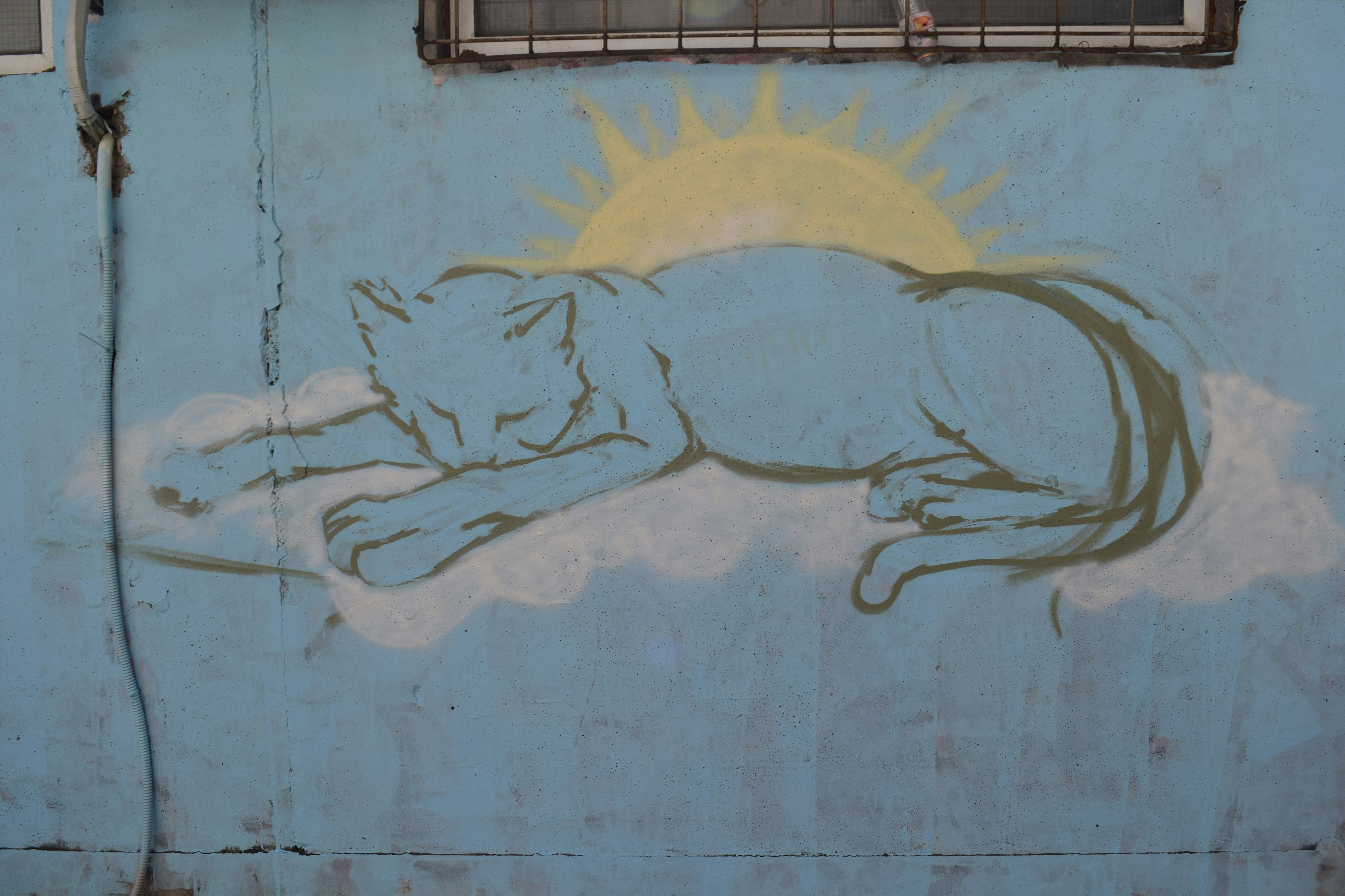 Sunlit Cat Nap: A mural of a cat stretched on a blue wall