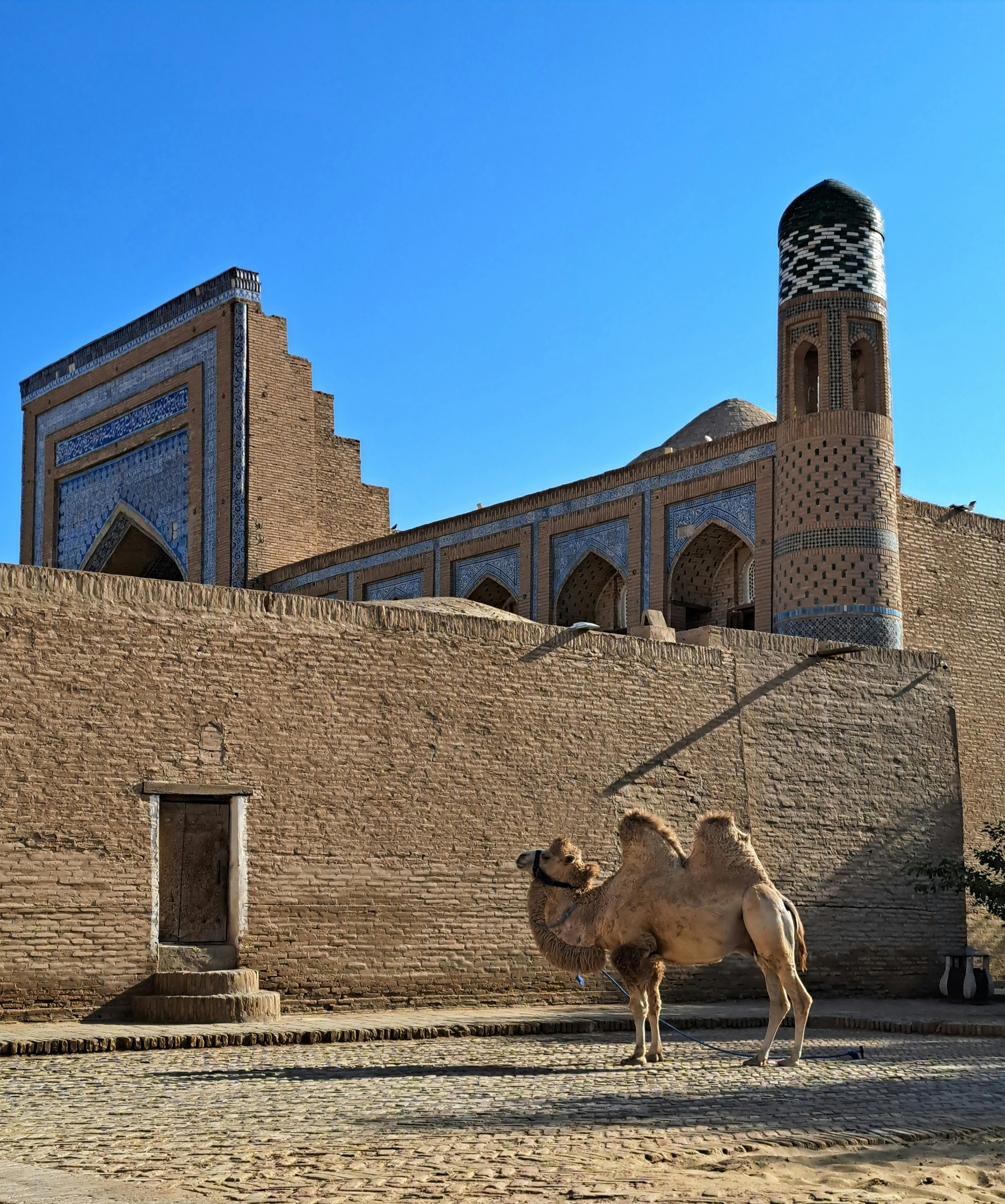 Photo by Michael Schreiber with Samsung Galaxy A53