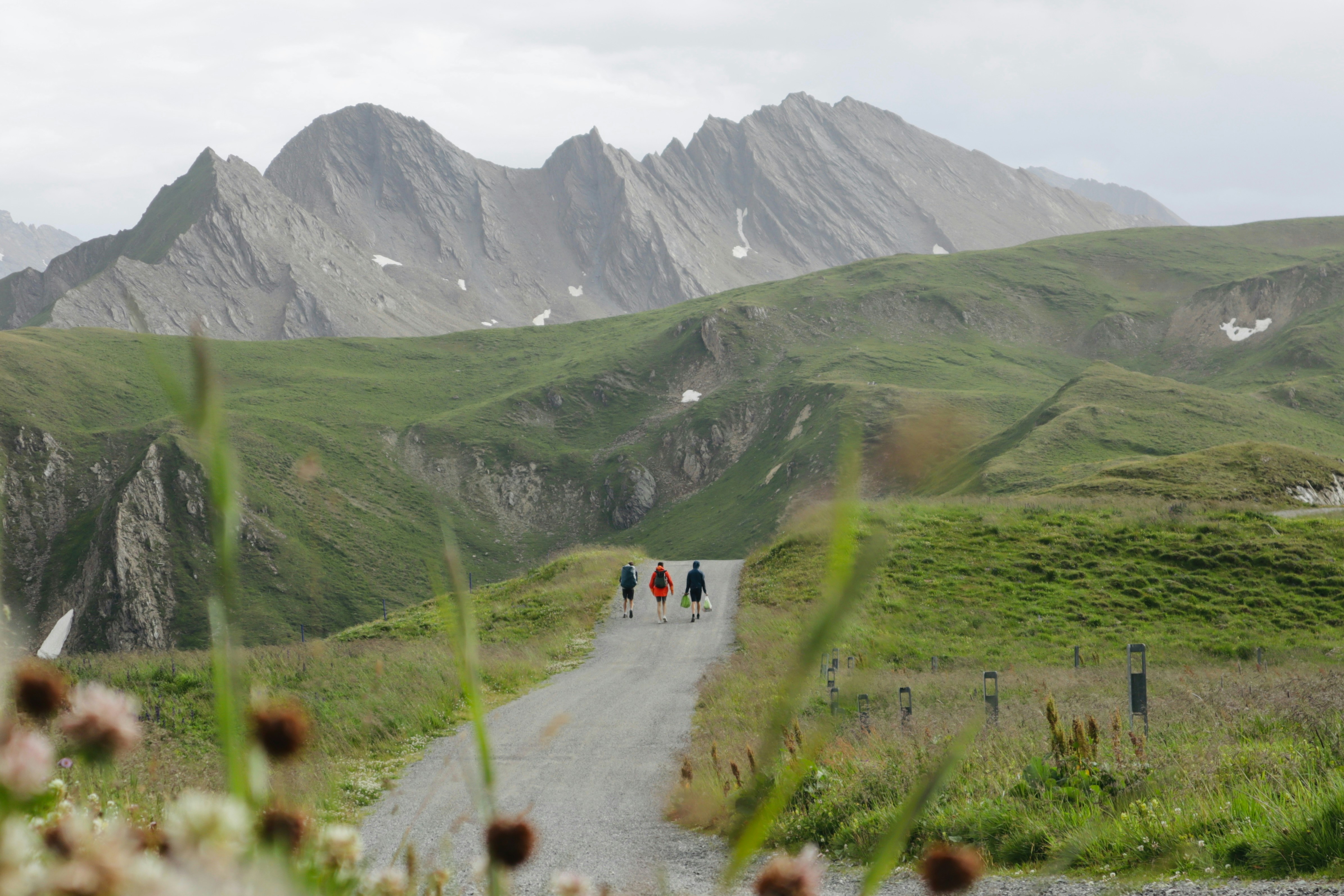 A group of people walking down a road in the mountains