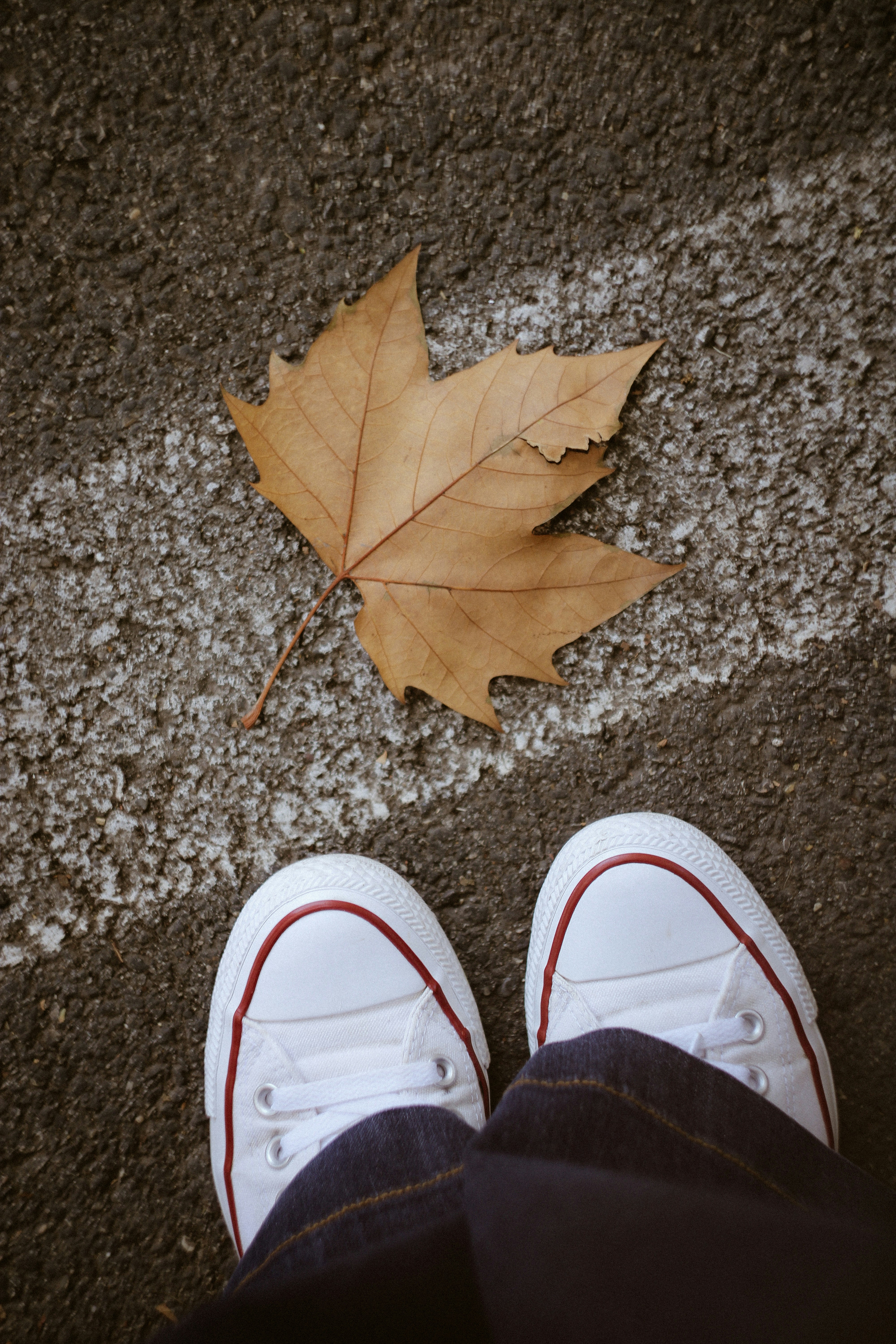 Autumn Leaf at the Threshold of Footwear