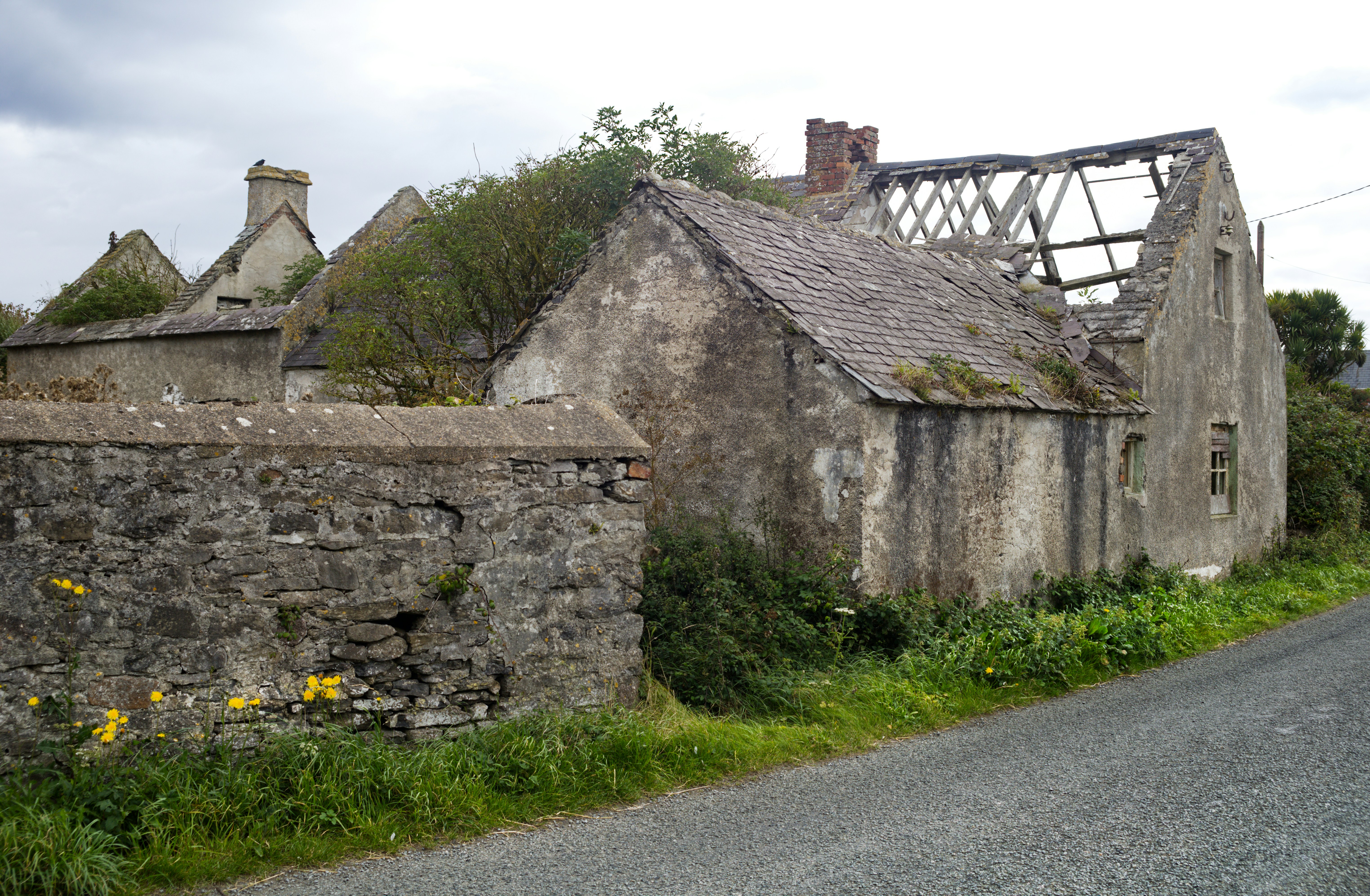 Famine Pictures | Download Free Images on Unsplash