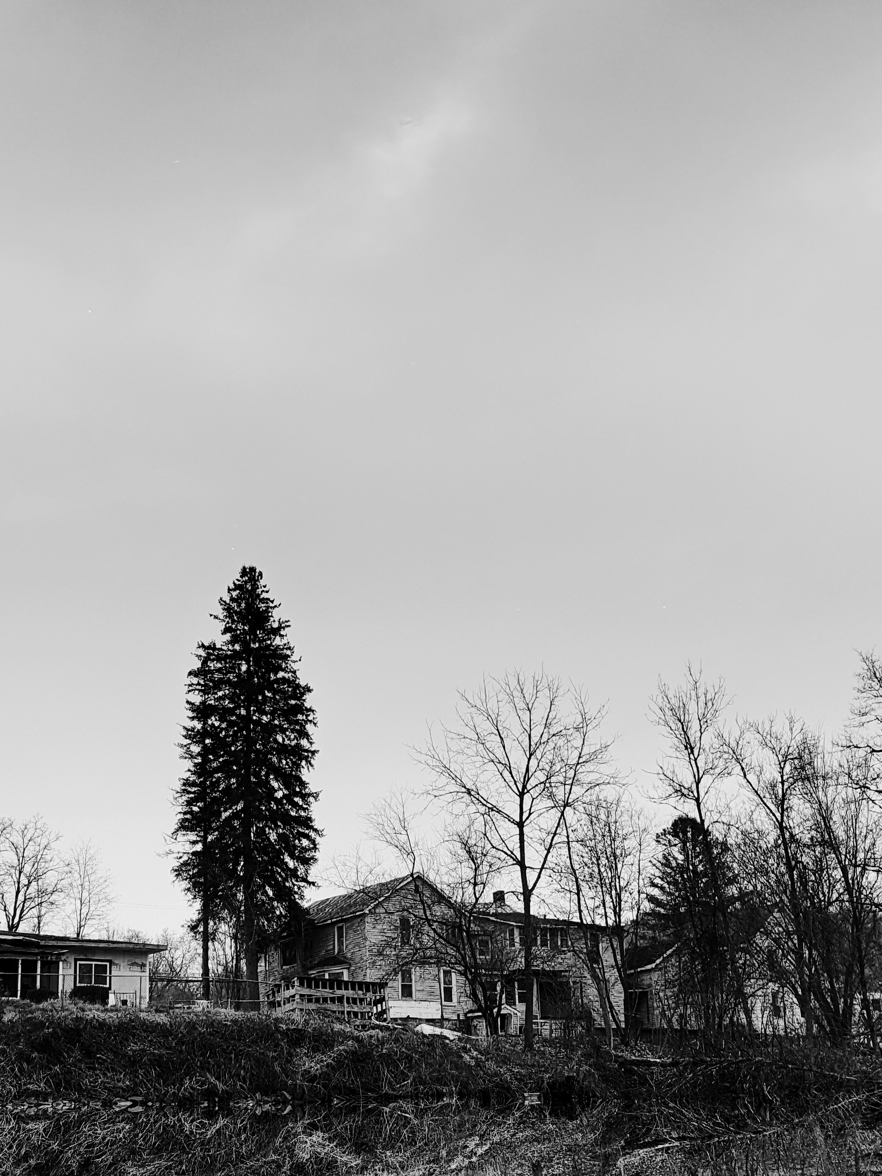 Monochrome country houses and trees against a grey evening sky