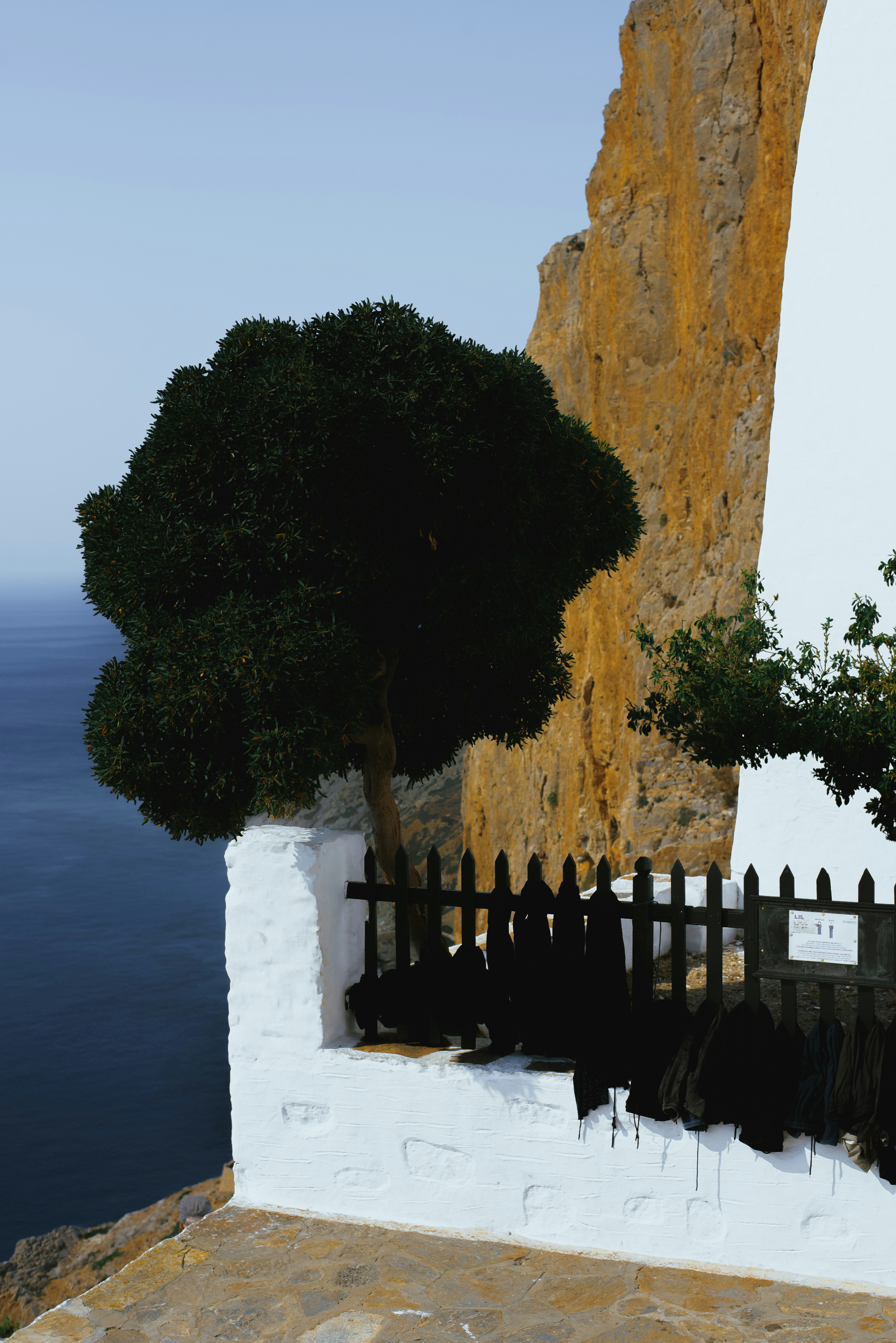 Clifftop Terrace: A Lone Tree Guarding the Sea from a Whitewashed Edge