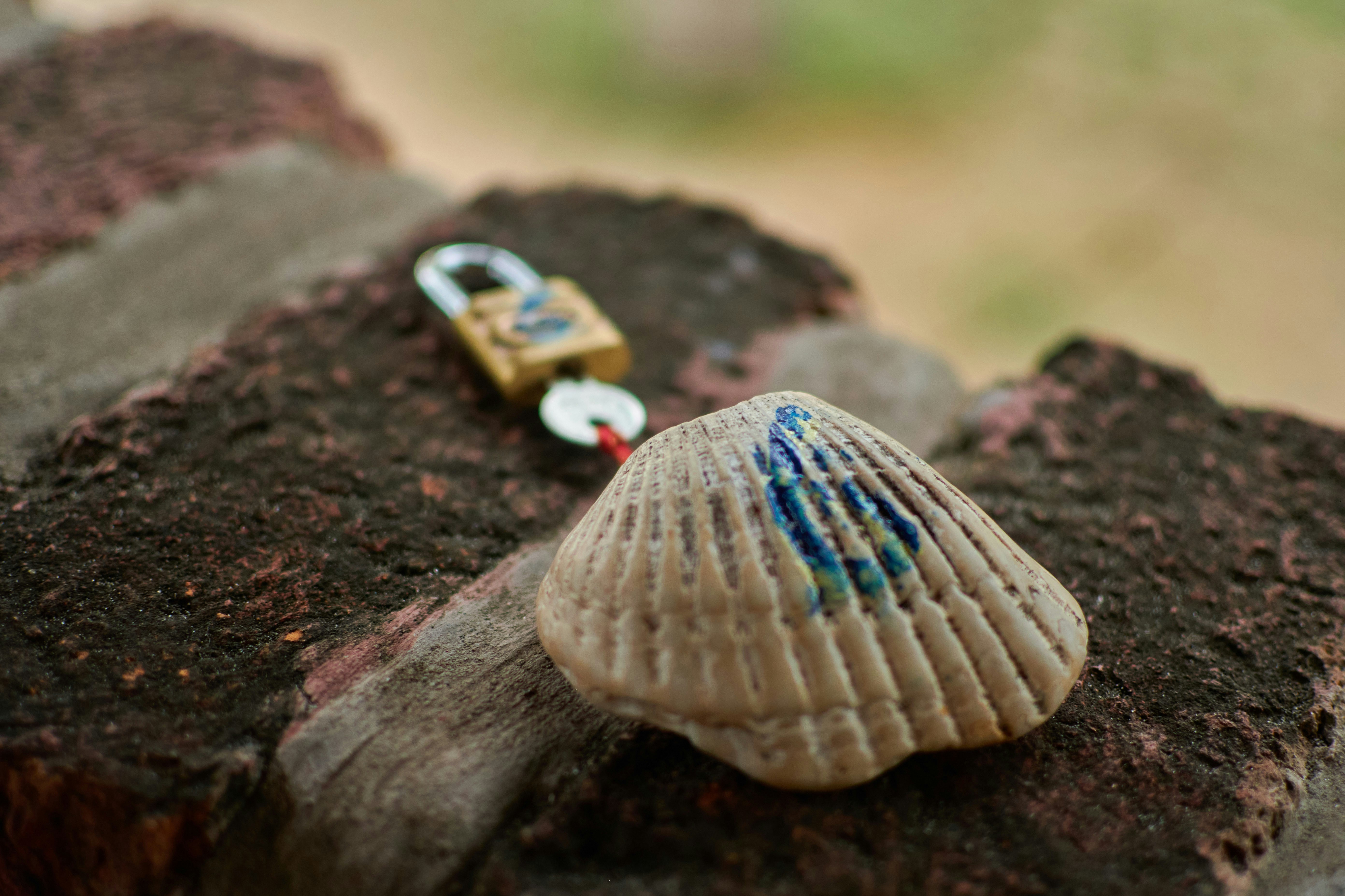 Macro Moment: Seashell Resting on Weathered Brick with a Tiny Keychain in the Background