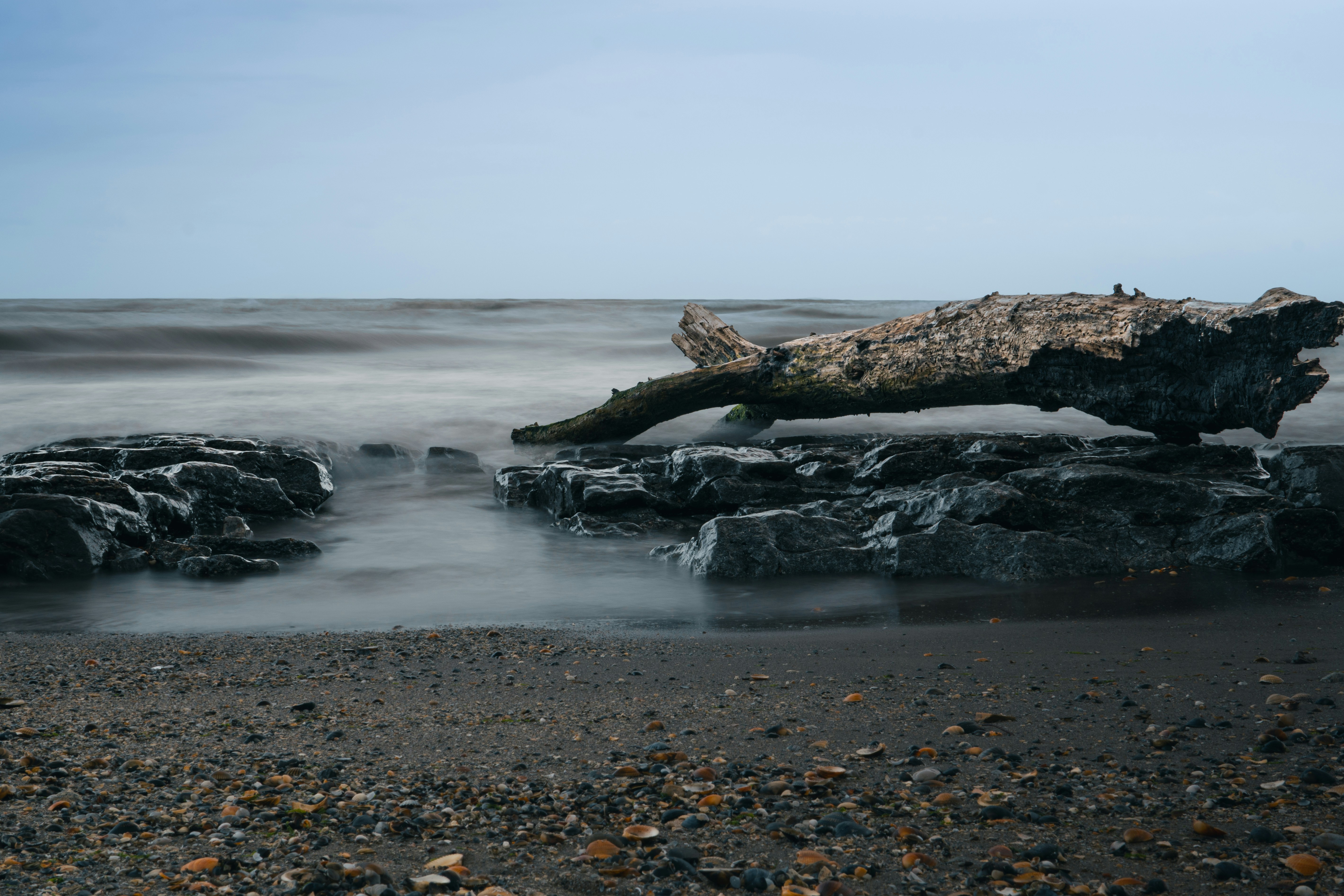 A beach with rocks and a tree branch sticking out of the water photo ...
