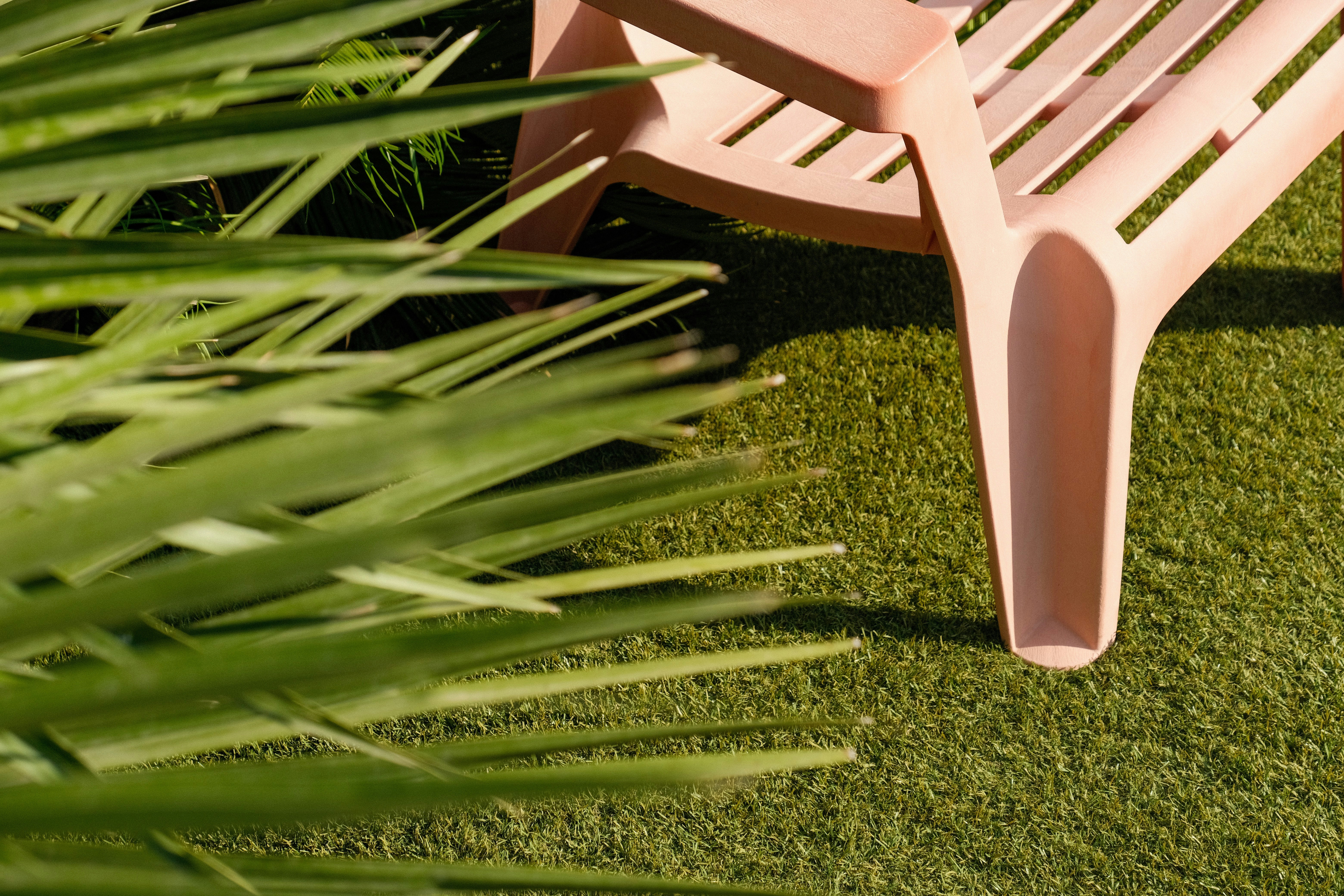 Sunlit Pink Chair Emerges from Palm Fronds on a Lawn
