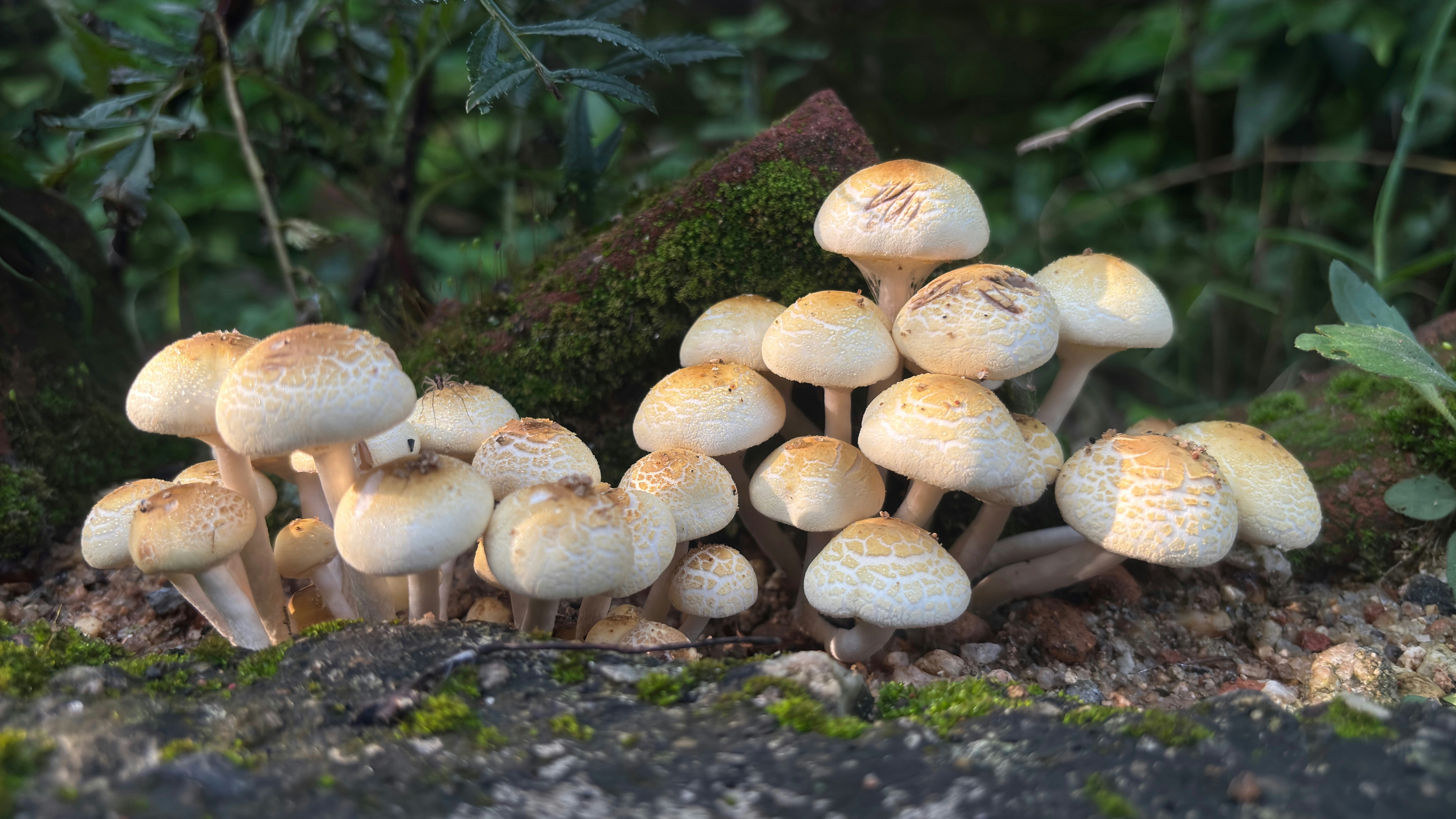 Photo by sunny wilson with Apple iPhone 15 Plus