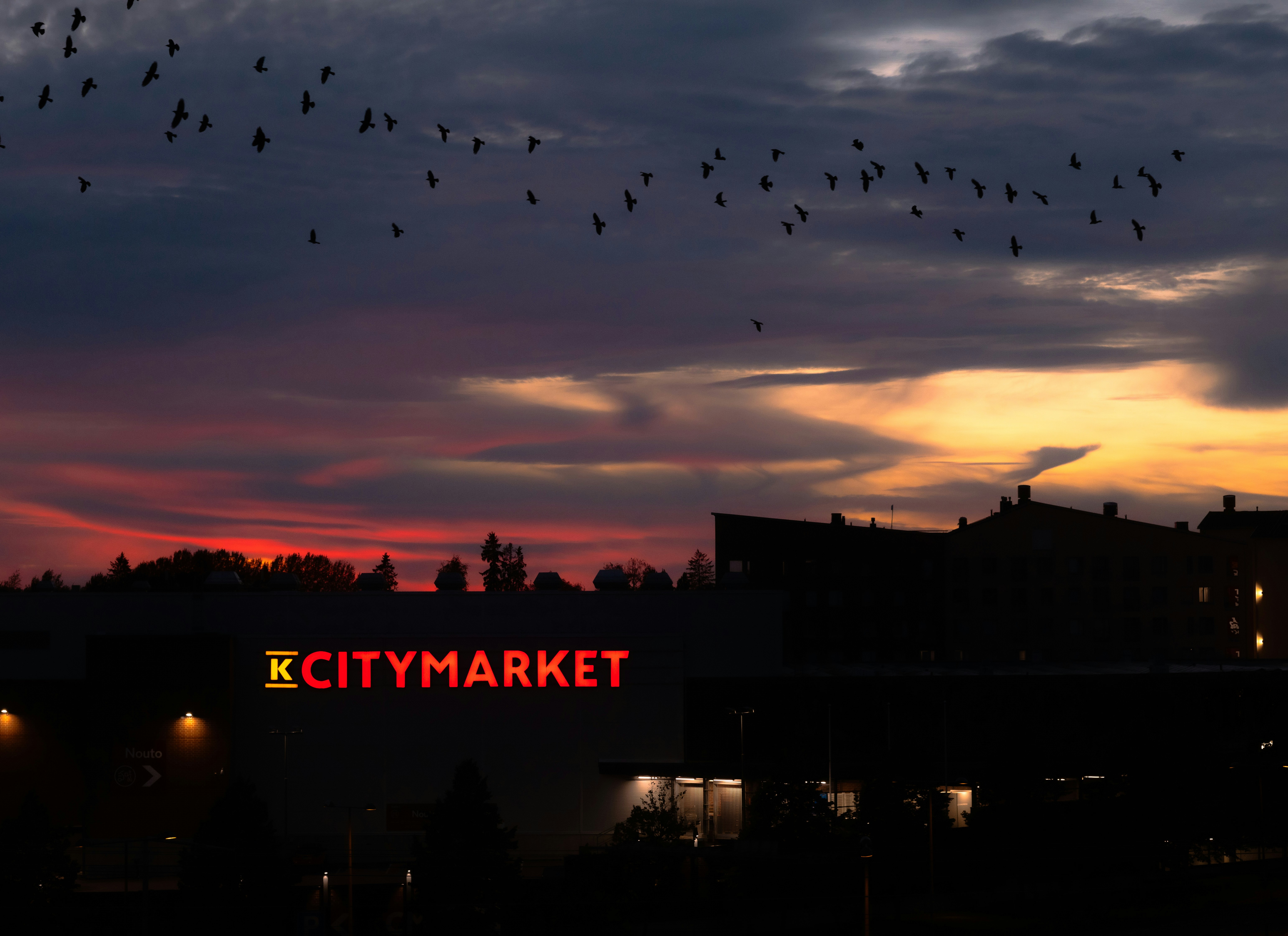 Dusk Over CityMarket: Birds Crossing a Neon-Warmed Horizon