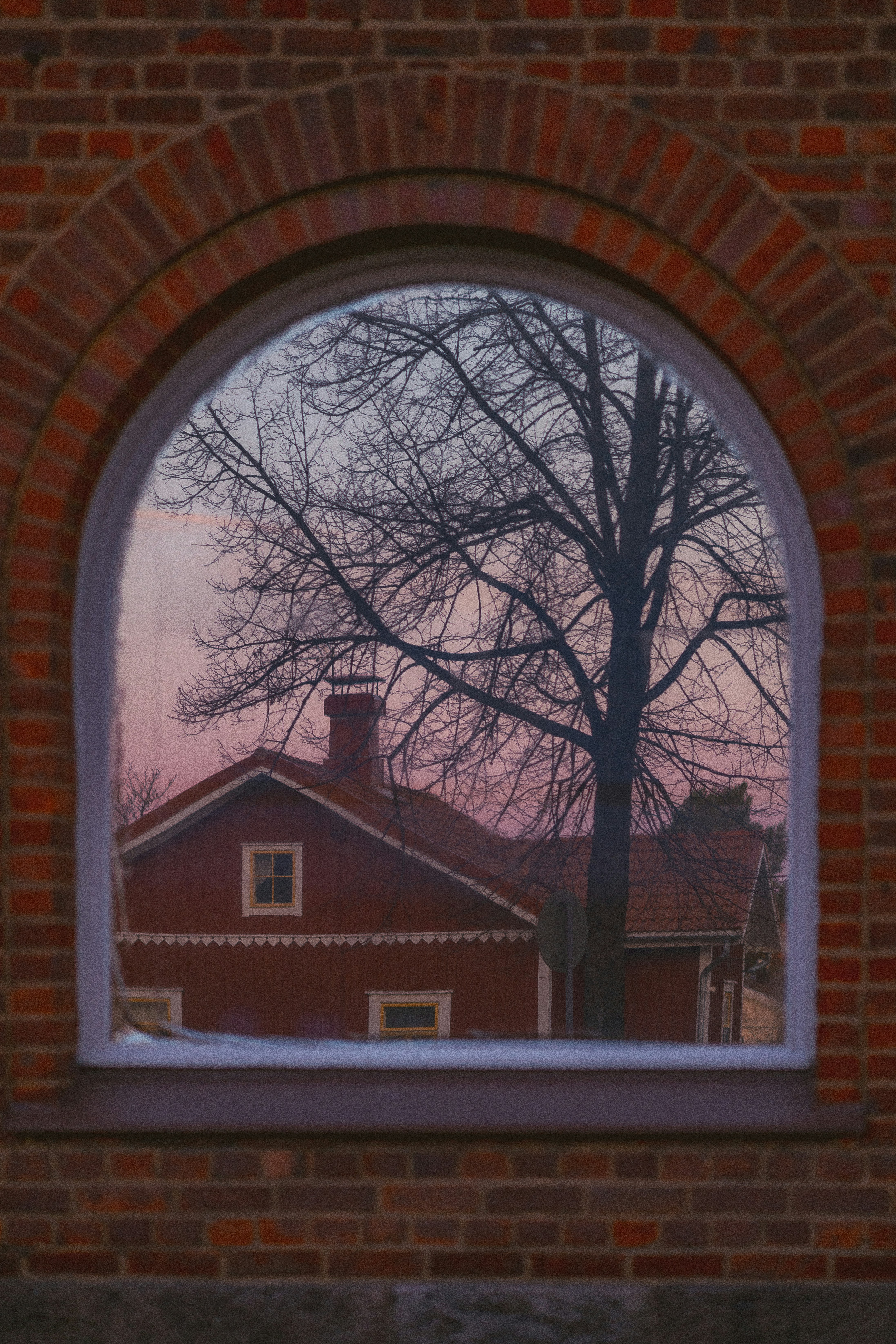 Tree Silhouette Framed by a Brick Arch at Dusk