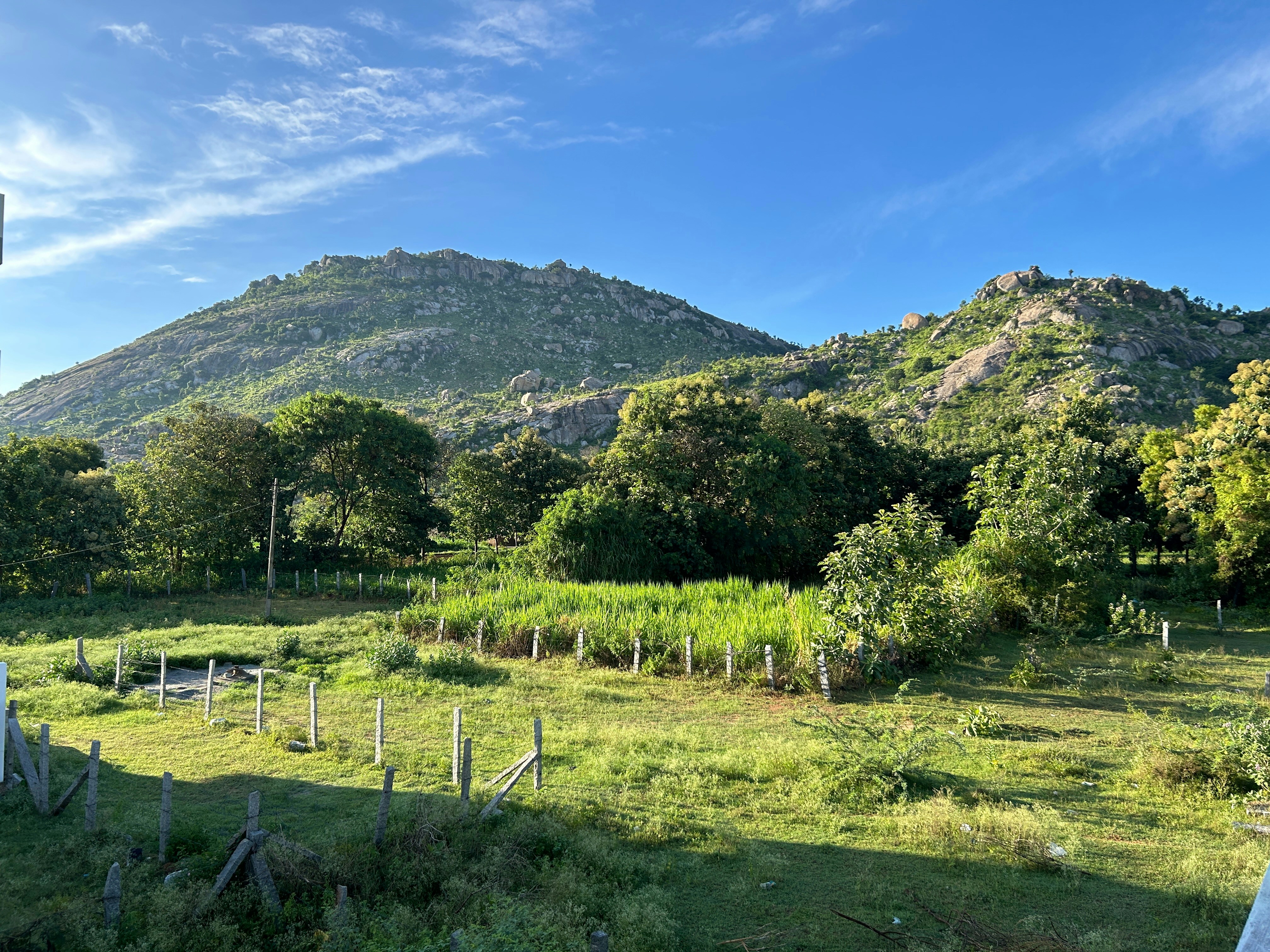 Azmathulla Shaik (@azmathulla) | Komunitas Foto Unsplash