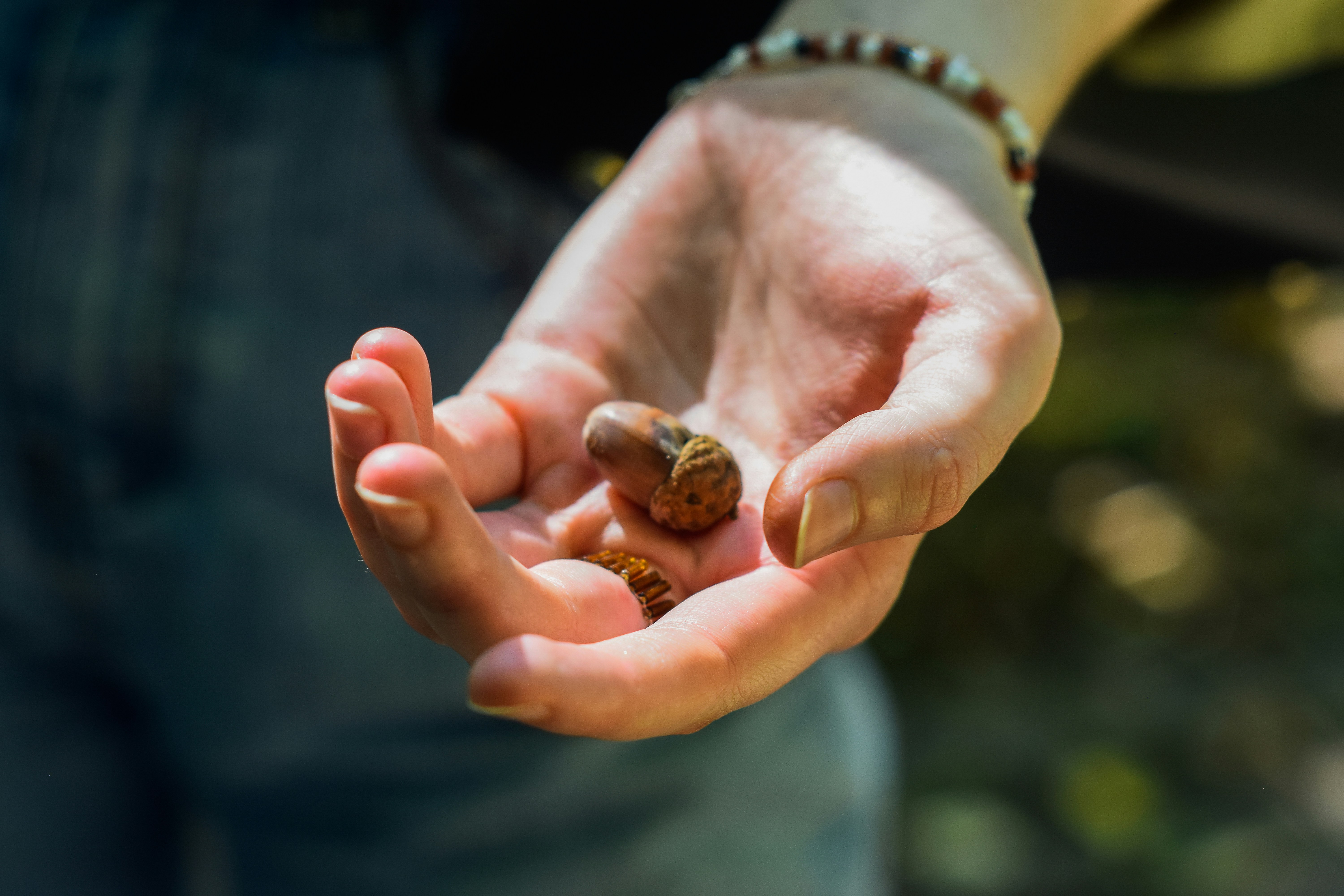 Photo by Nataliia Antofii with Nikon D3300