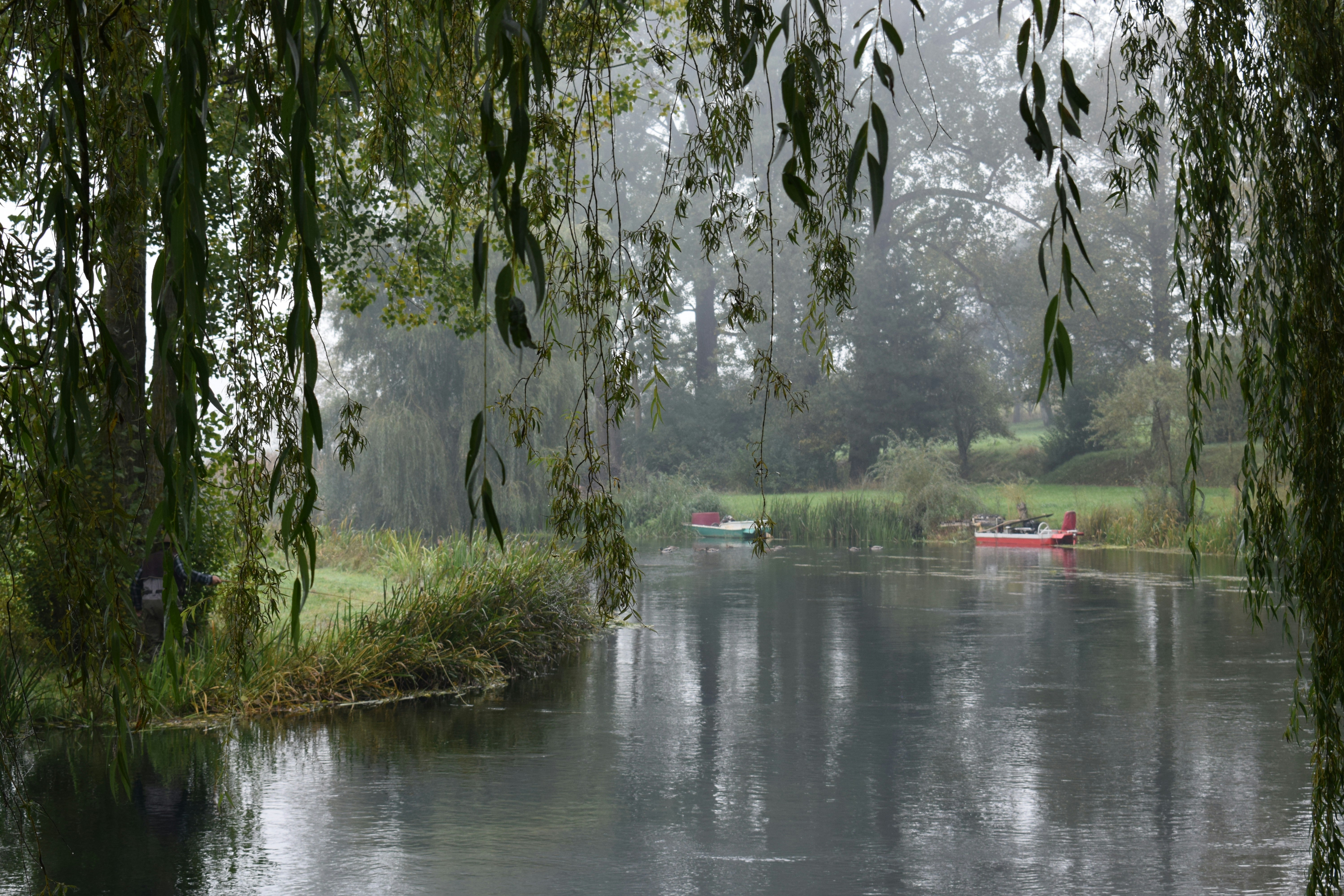 Willow-Wreathed Riverside: Twin Boats in Mist
