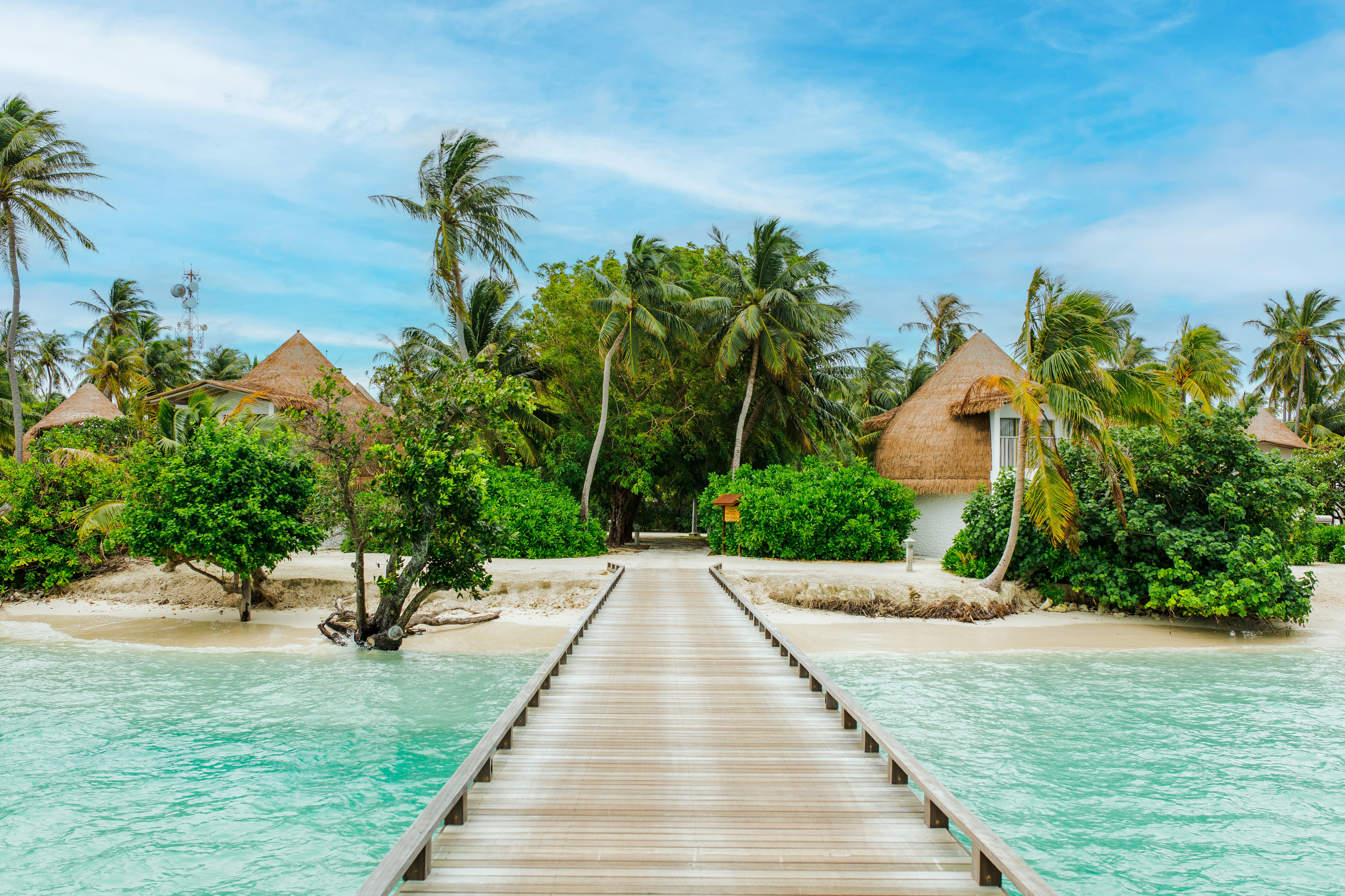 Wooden pier leading through lush greenery to tropical huts, framed by calm turquoise waters. 