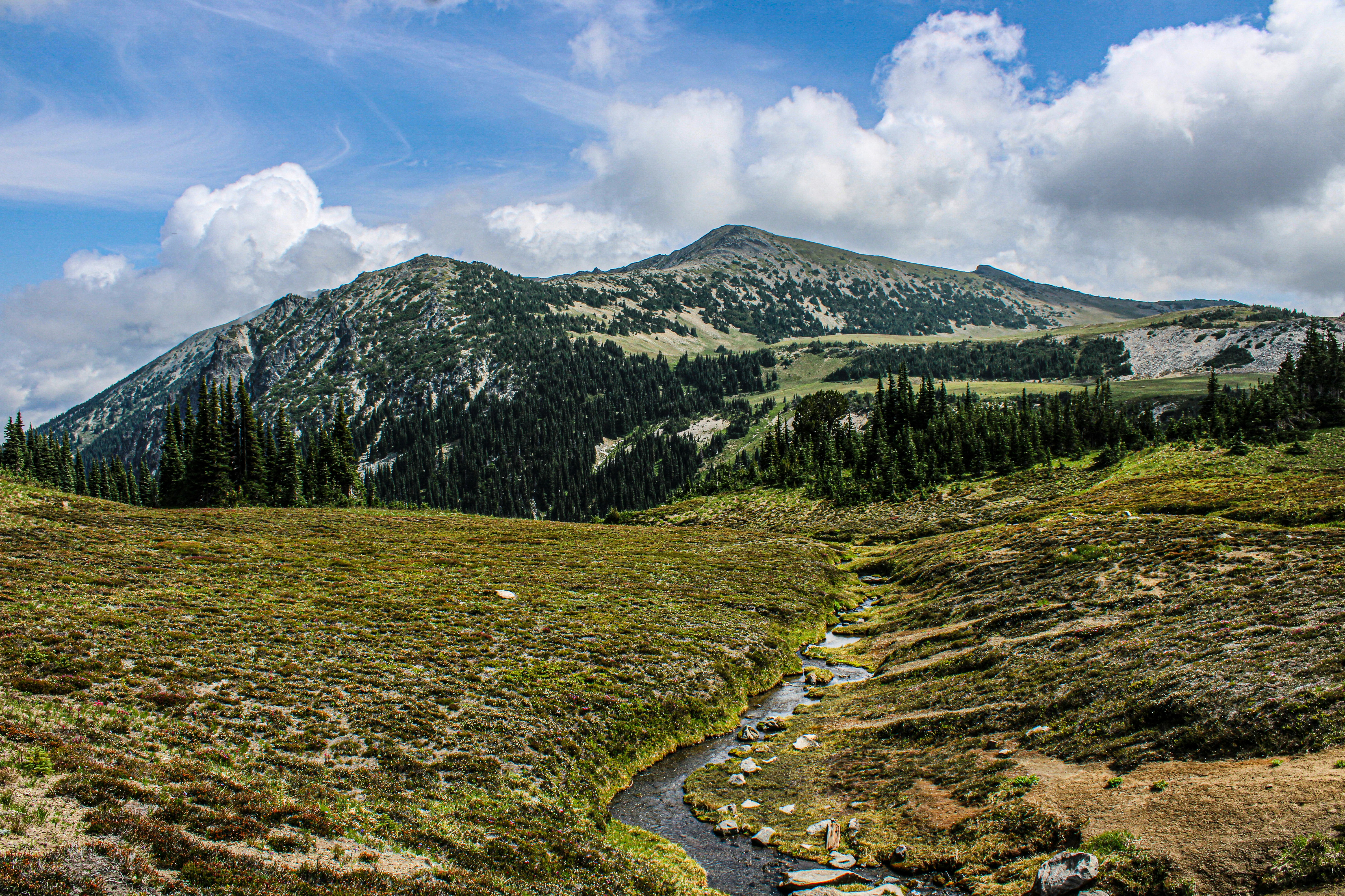 A mountain with a stream running through it photo – Free Mount rainier ...