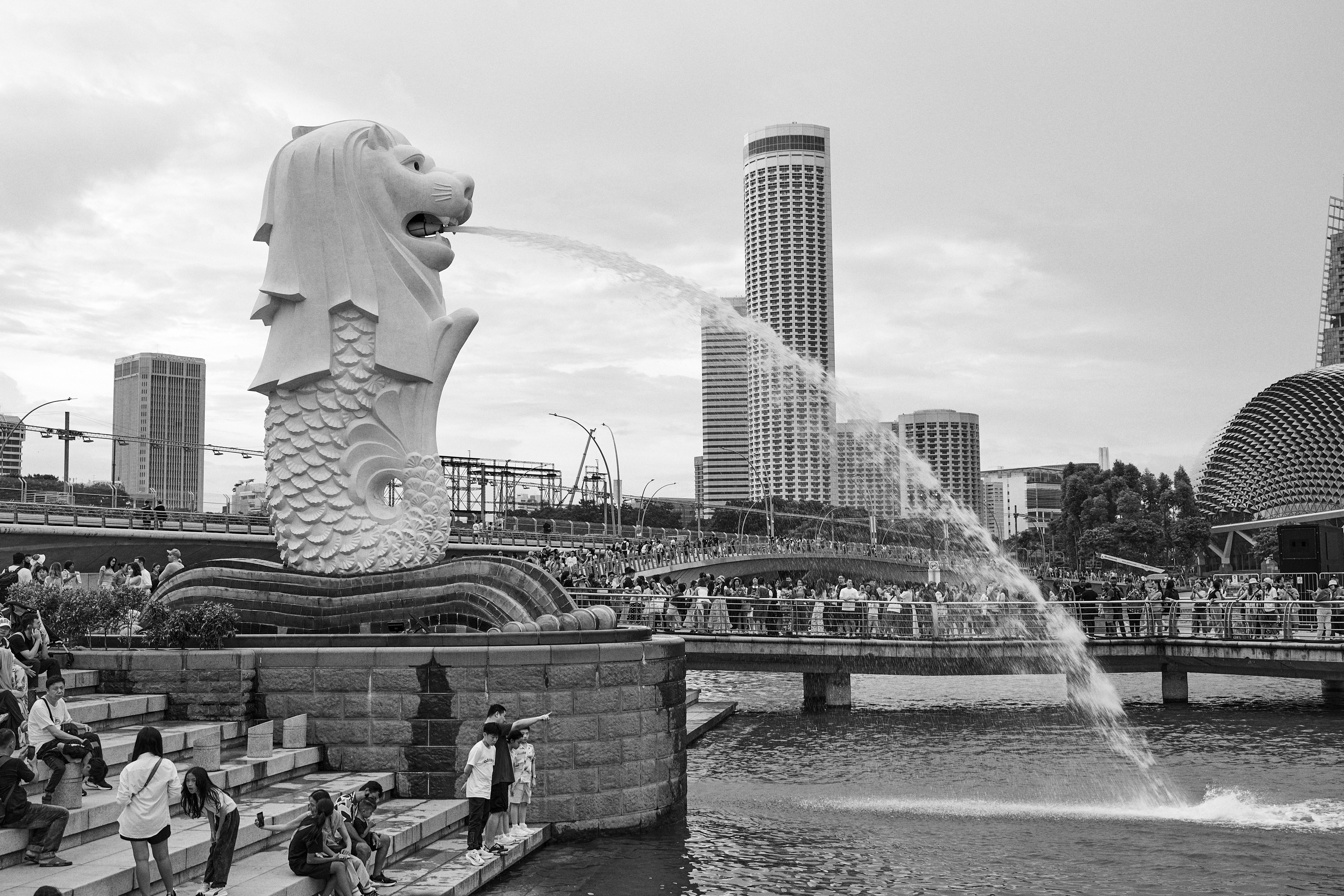 Merlion Spotlight: Fountain, Cityscape, and Riverfront patrons