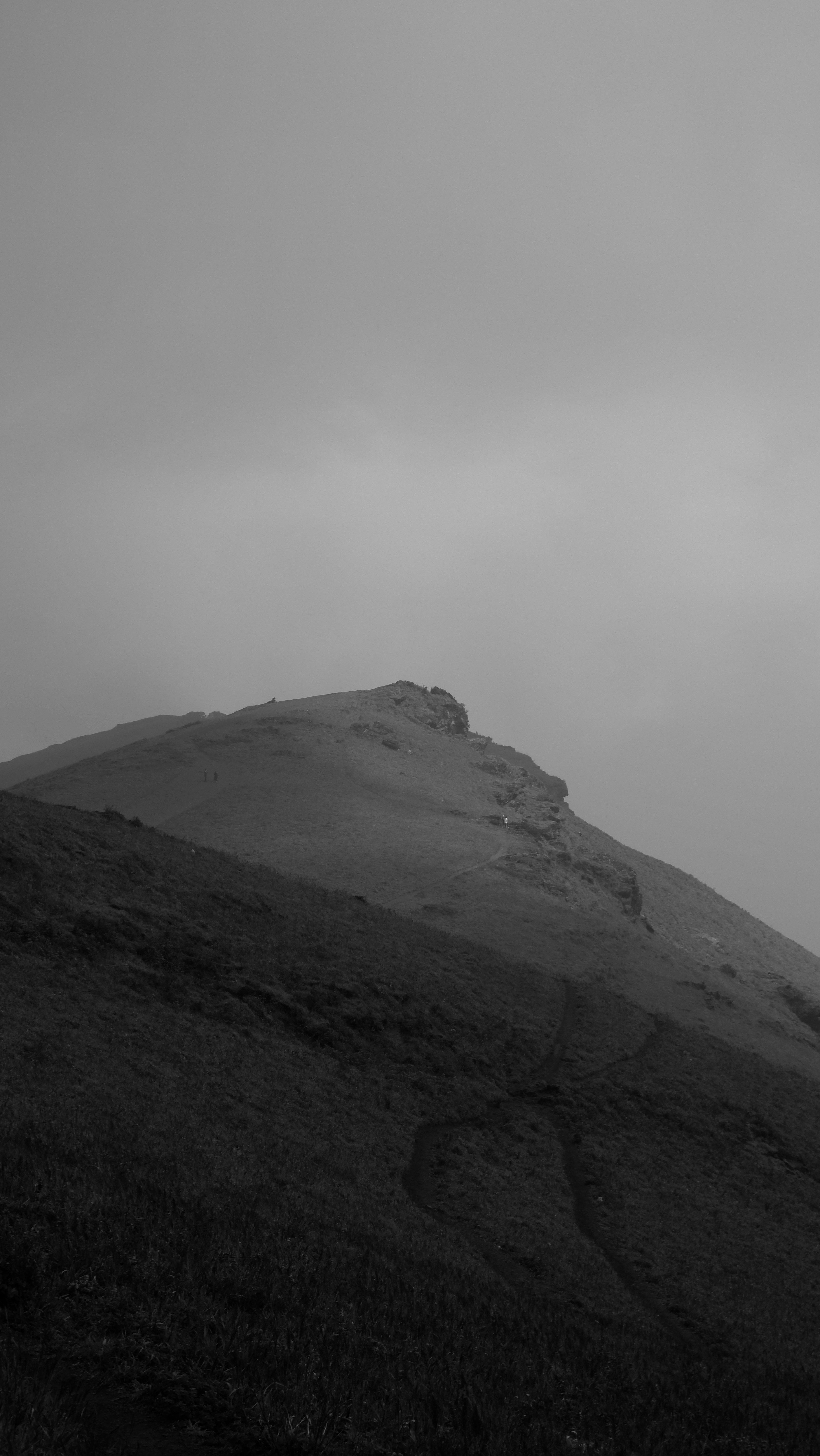 Whispers of the Summit: A Journey Through the Mist