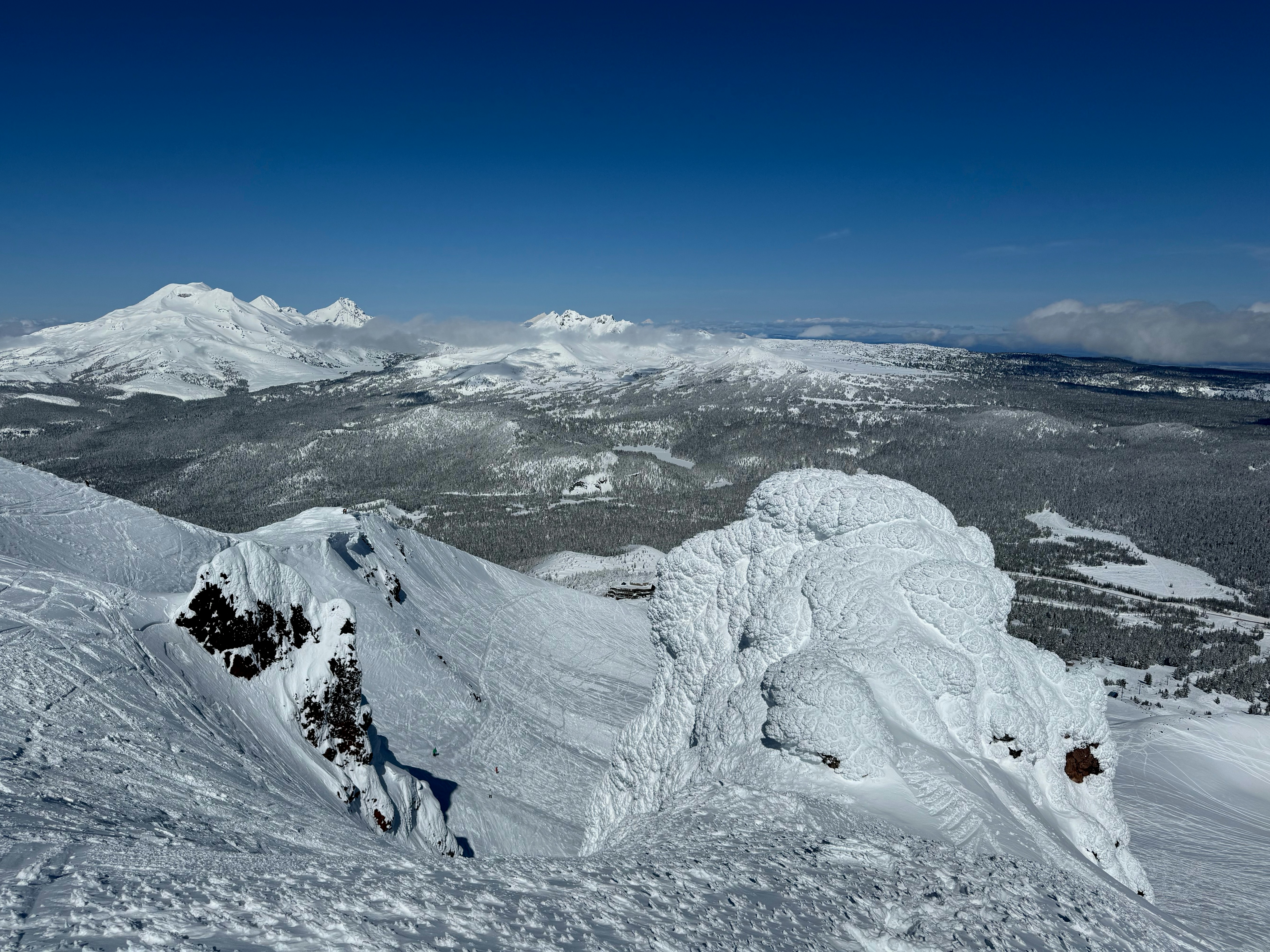 Whispers of Winter: A Snow-Capped Vista